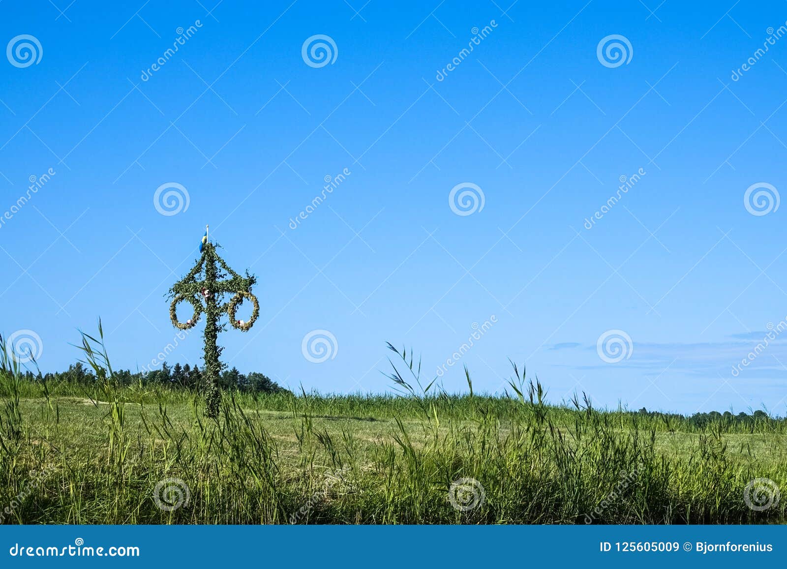 A Swedish Maypole on a Green Summer Meadow Stock Image - Image of ...