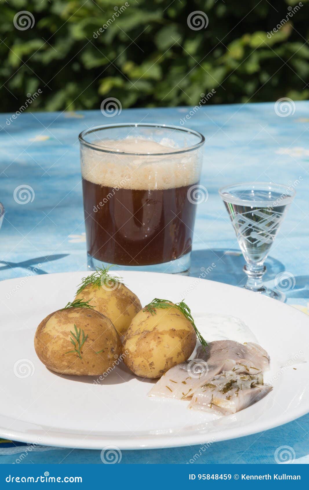 Swedish Midsummer Appetizer Stock Image - Image of food, delicate: 95848459