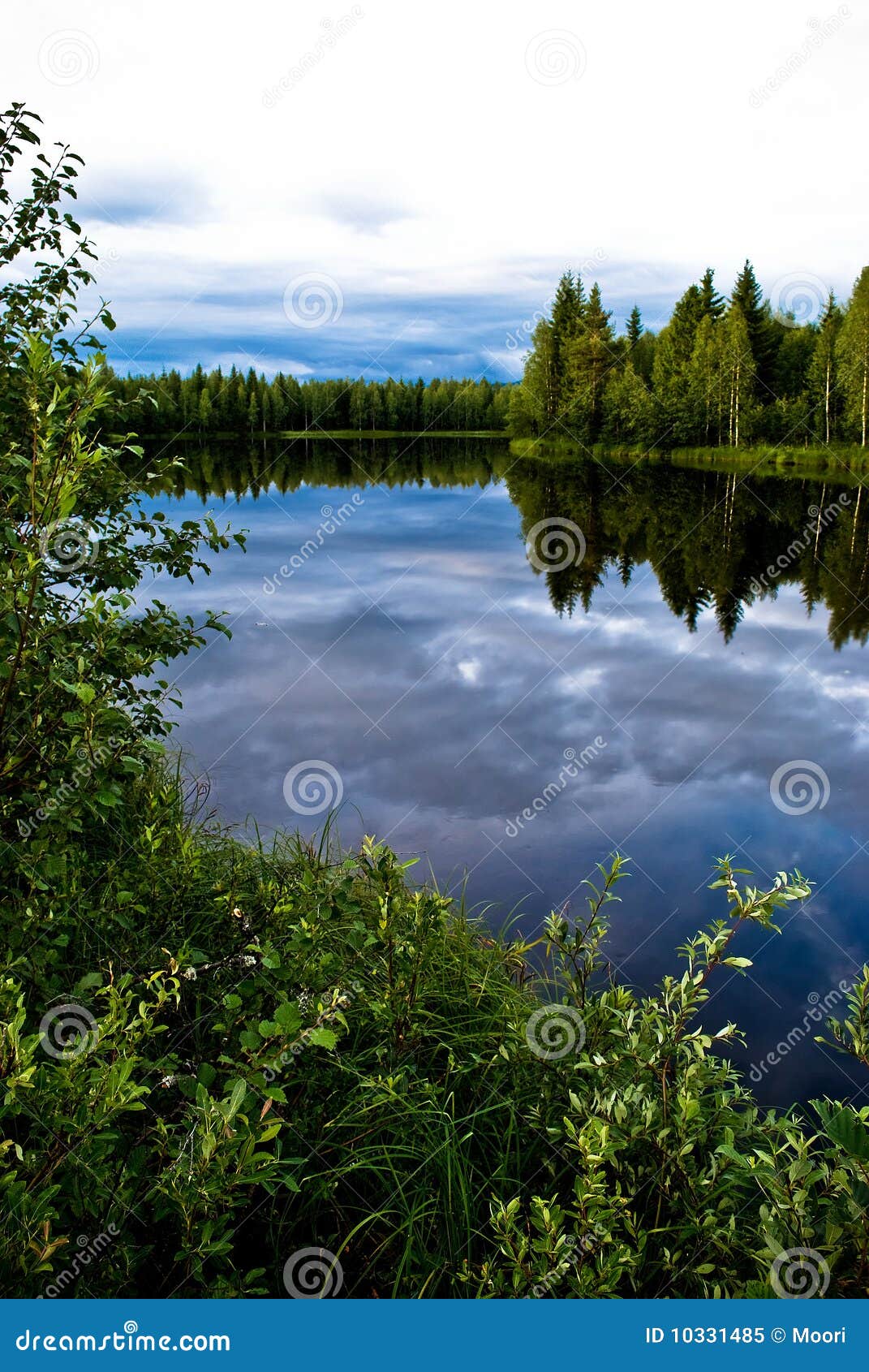 Swedish nature stock image. Image of nature, lake, river - 10331485