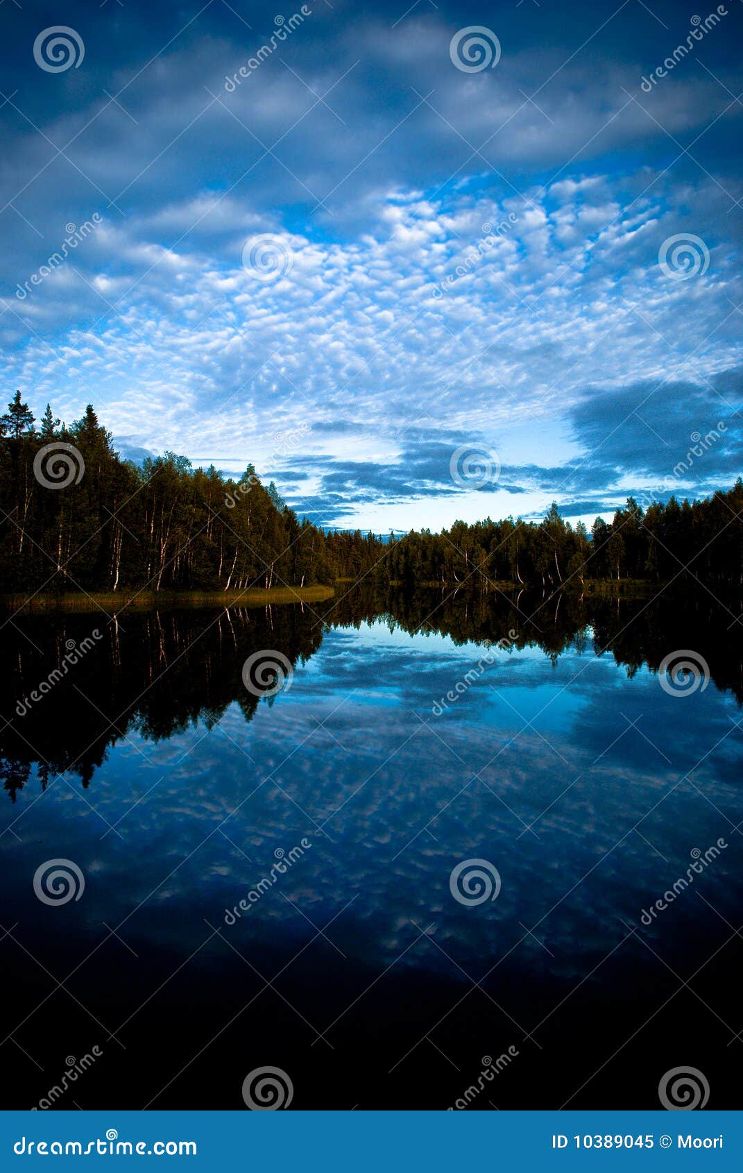 Swedish nature stock image. Image of recreational, cloud - 10389045