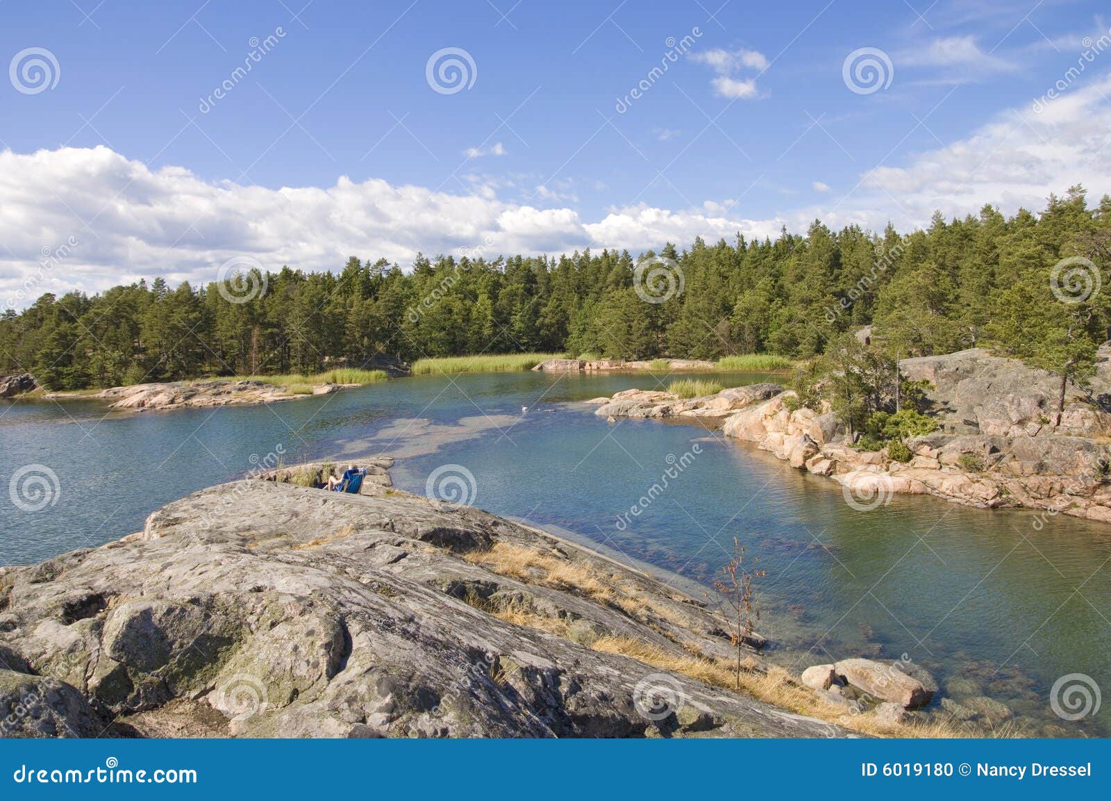 Swedish nature stock photo. Image of mountains, mount - 6019180