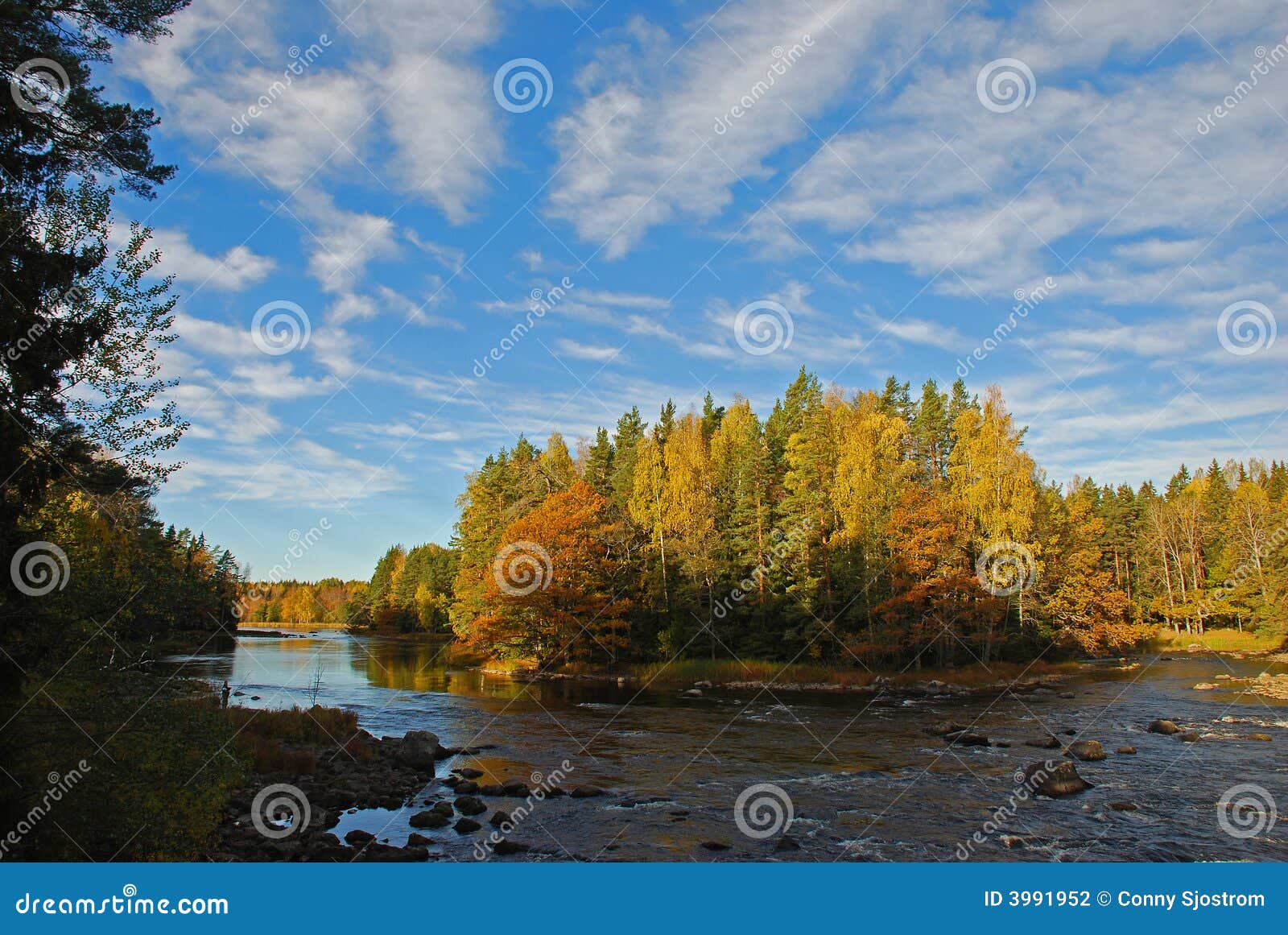 Swedish river in autumn stock photo. Image of calm, foliage - 3991952
