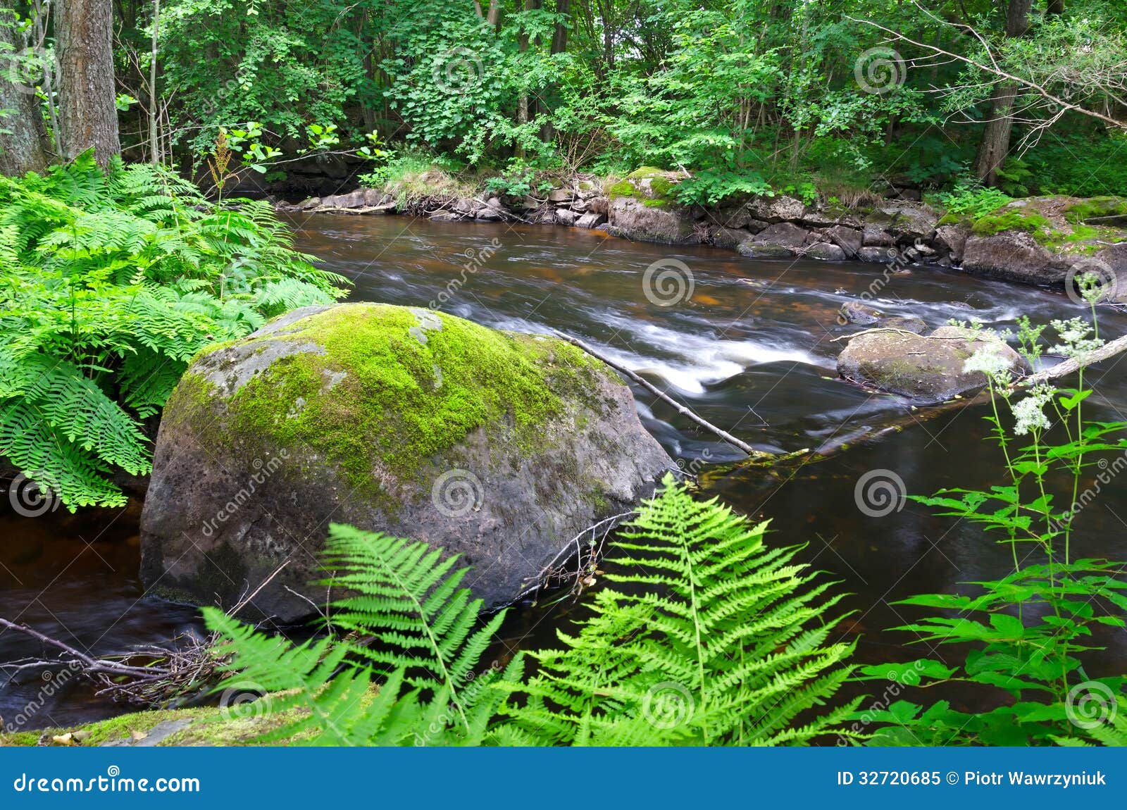 Swedish River Beautiful Flora Stock Image - Image of country, meadow ...