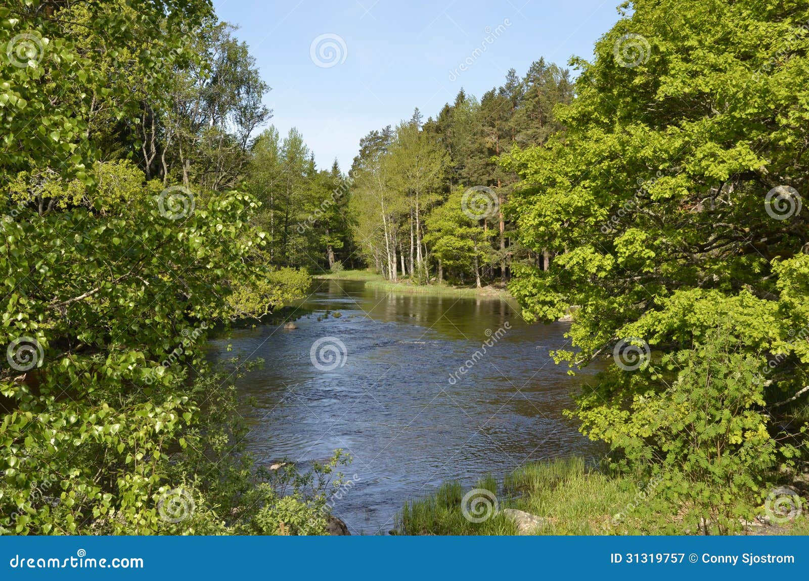 Swedish river stock image. Image of tree, country, beauty - 31319757