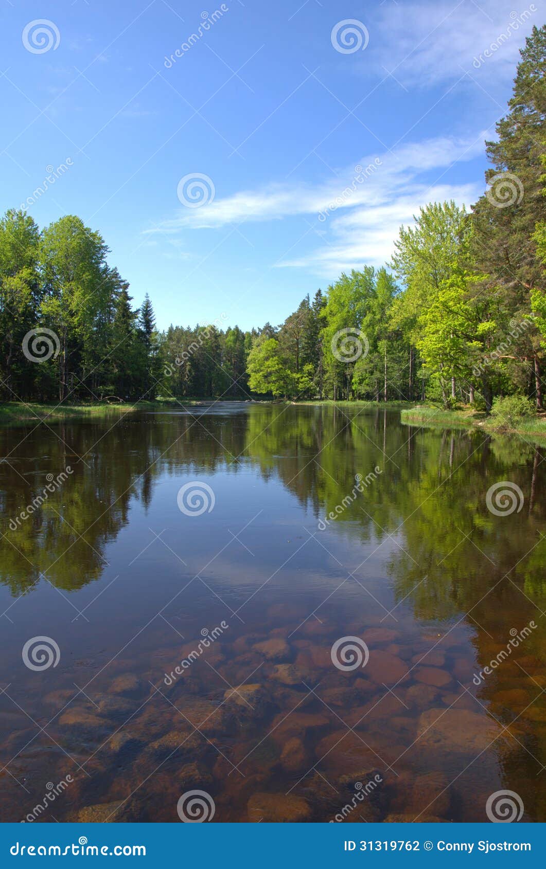 Swedish river stock photo. Image of serene, country, nature - 31319762