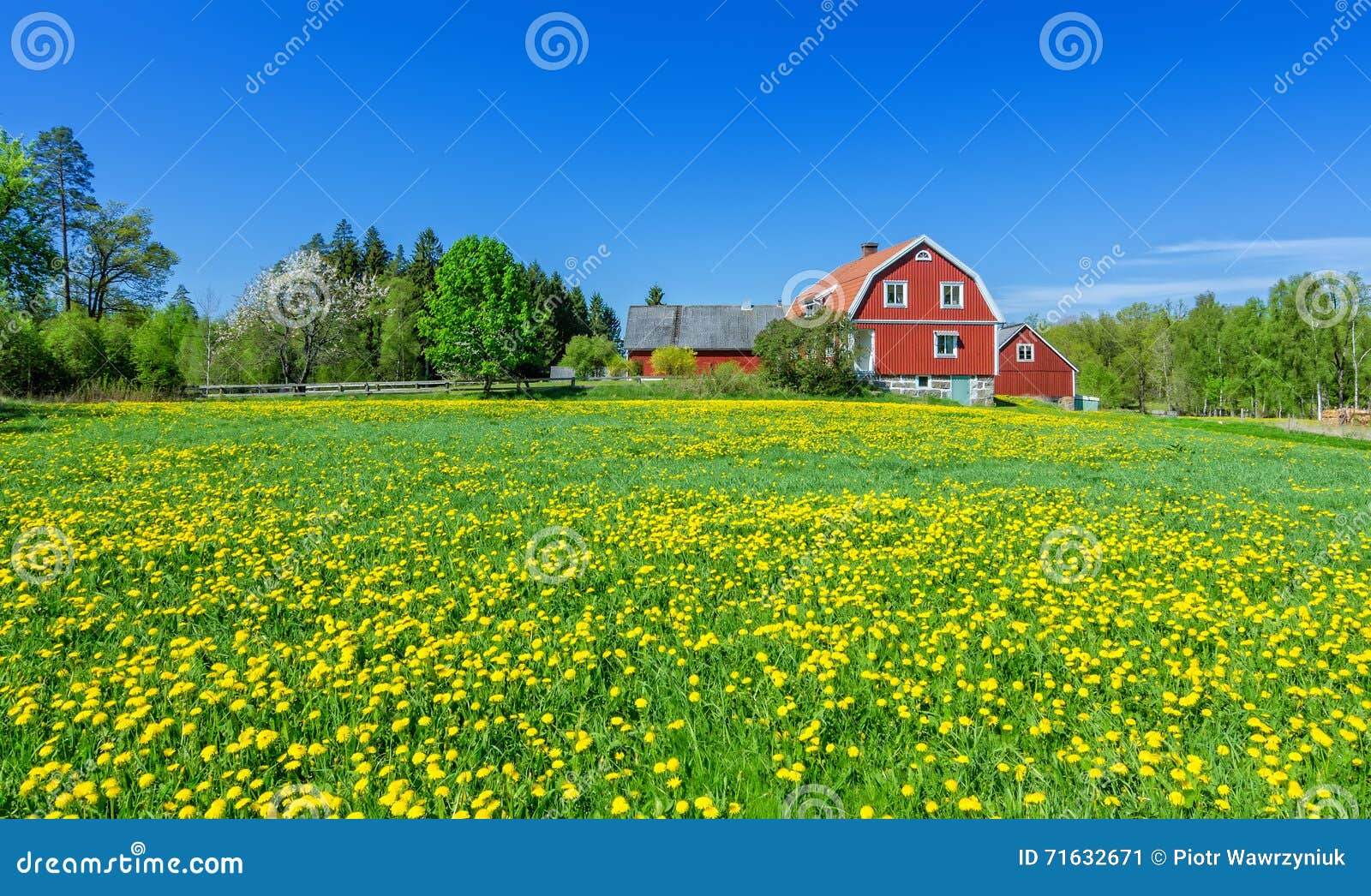Swedish spring scenery stock image. Image of beautiful - 71632671