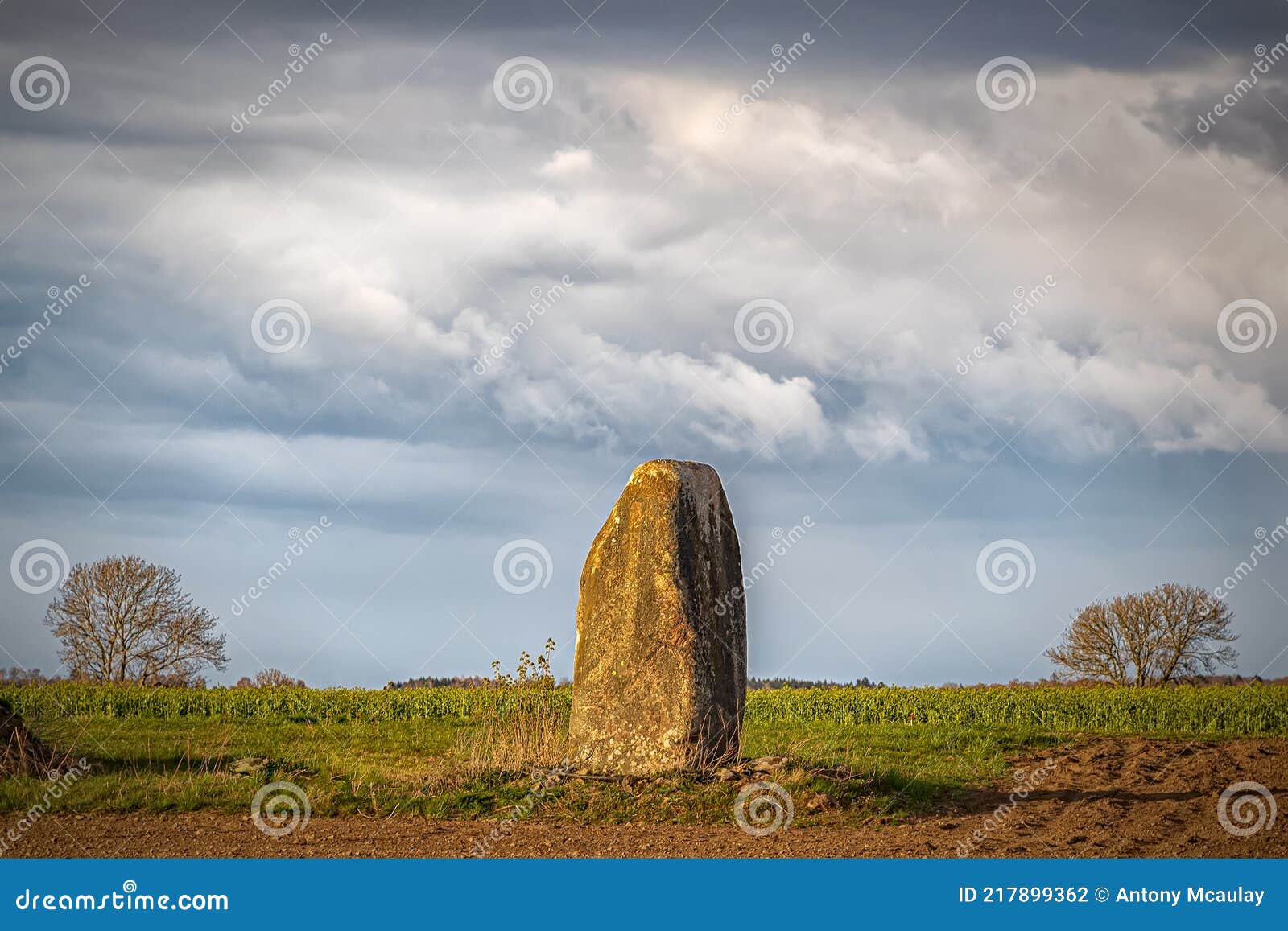 Swedish Standing Stone in Field Stock Photo - Image of historical ...