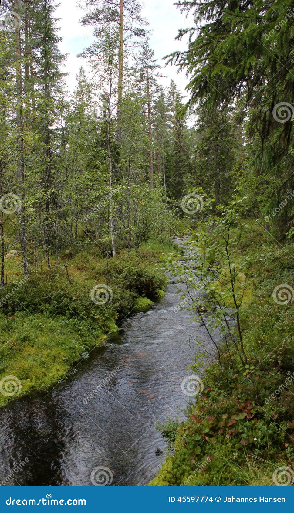 Swedish Stream stock photo. Image of 2000s, europe, coloured - 45597774
