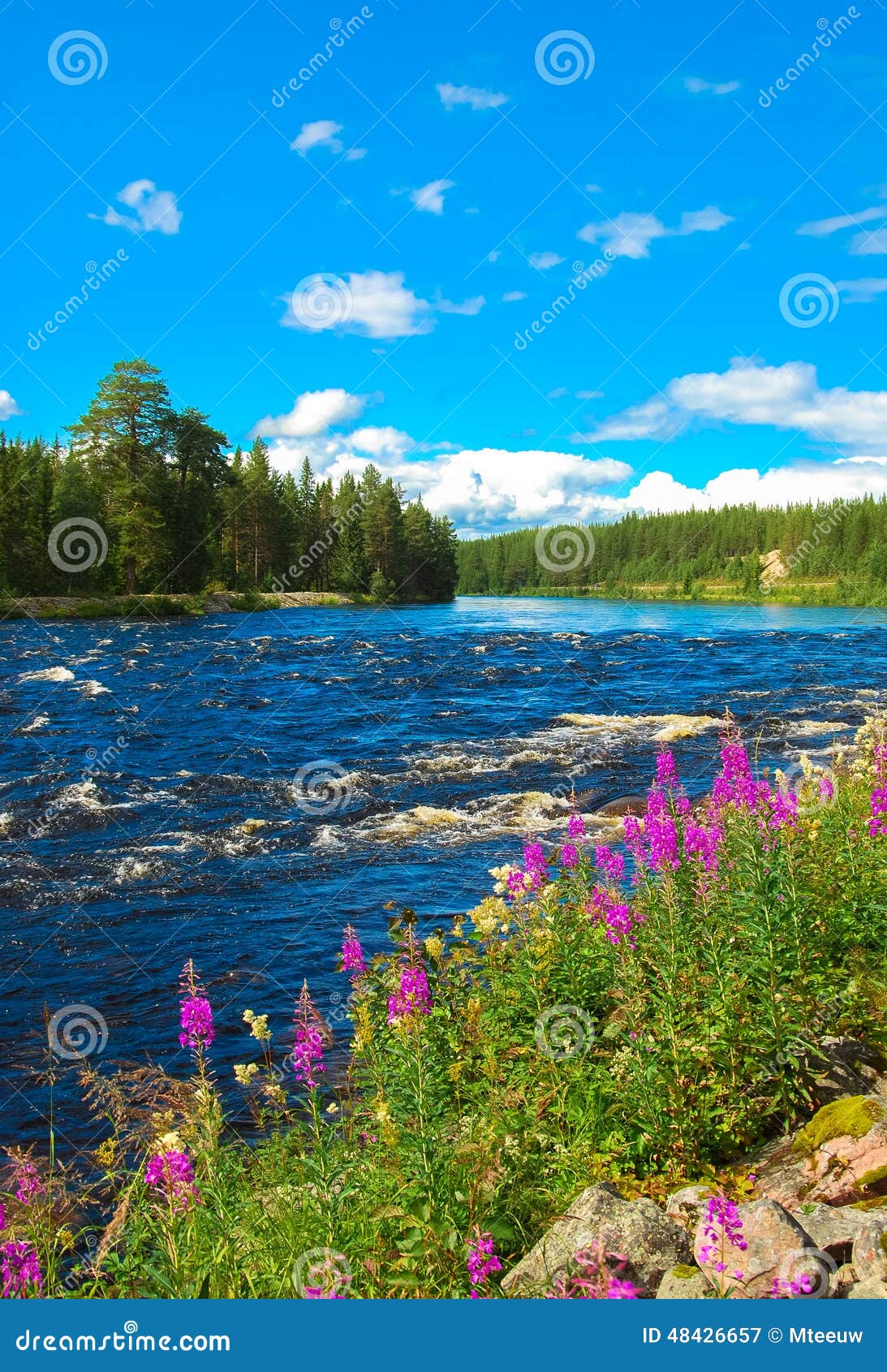 Swedish summer nature stock image. Image of clouds, outdoors - 48426657