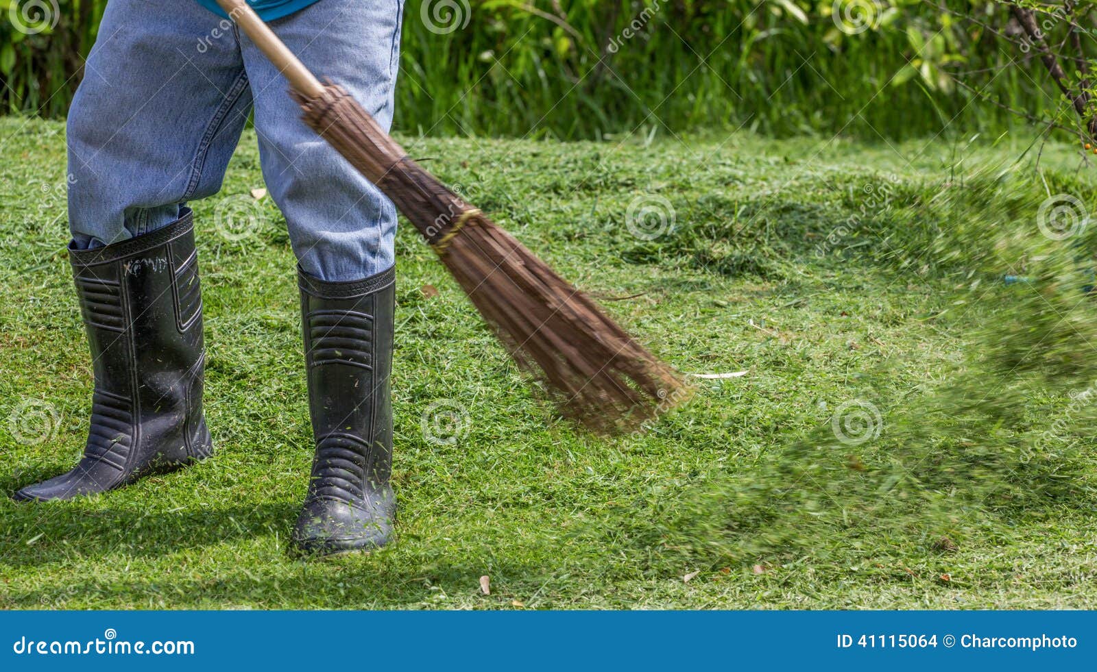 Sweep grass stock photo. Image of sweeping, green, nature - 41115064