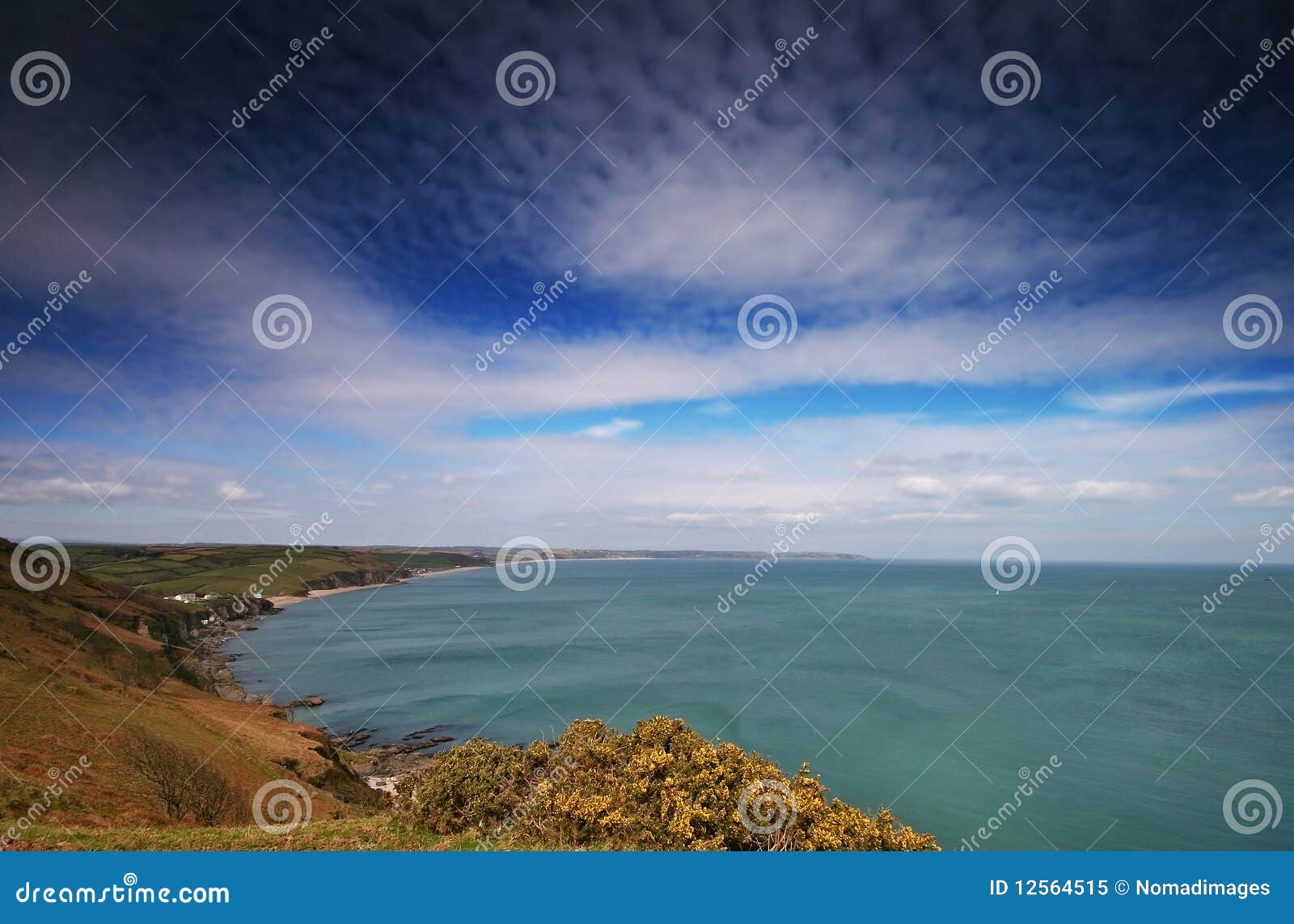The Sweep of Start Bay Devon Stock Image - Image of start, gorse: 12564515
