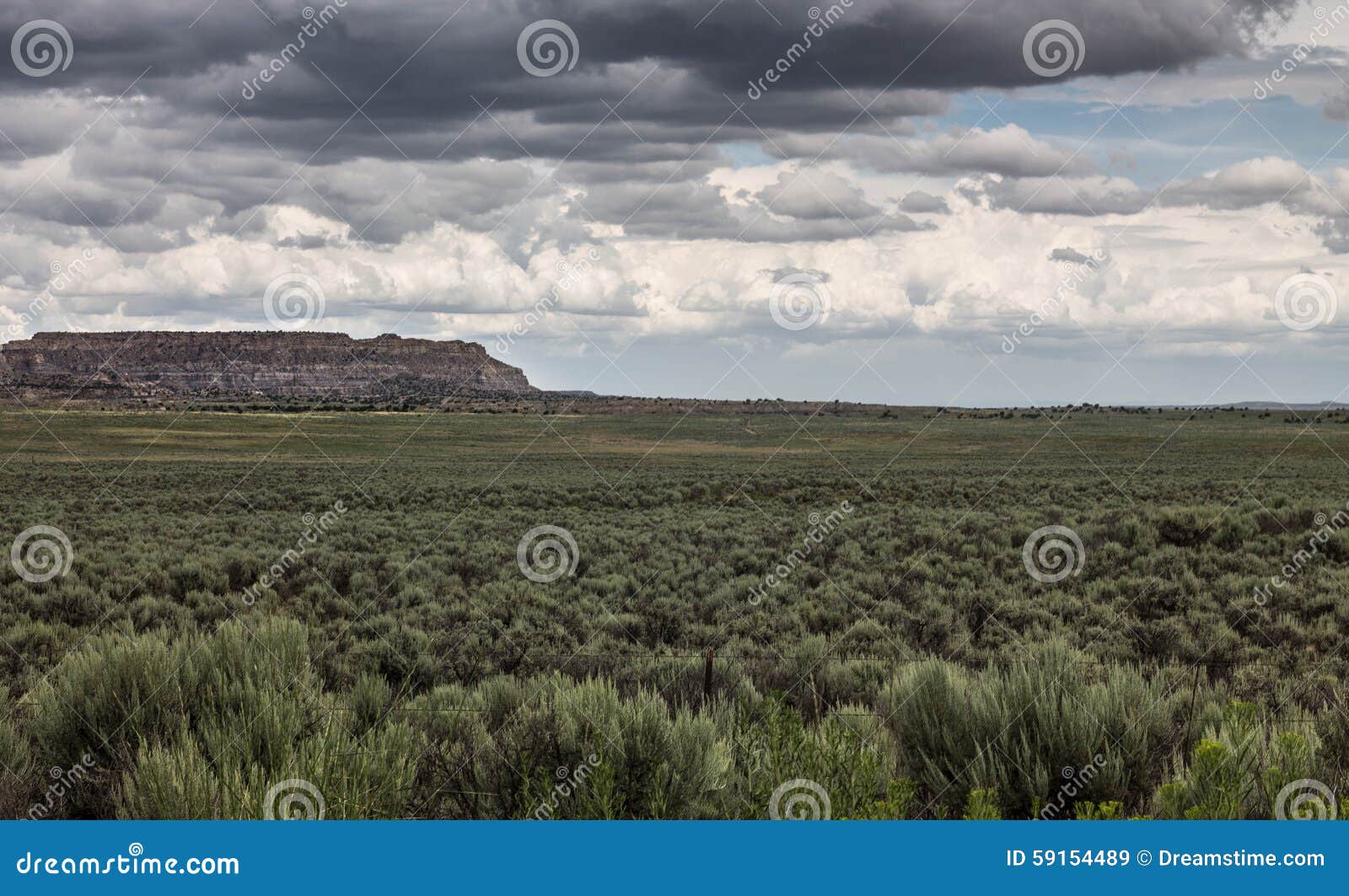 Sweeping desert landscape stock image. Image of landscape - 59154489