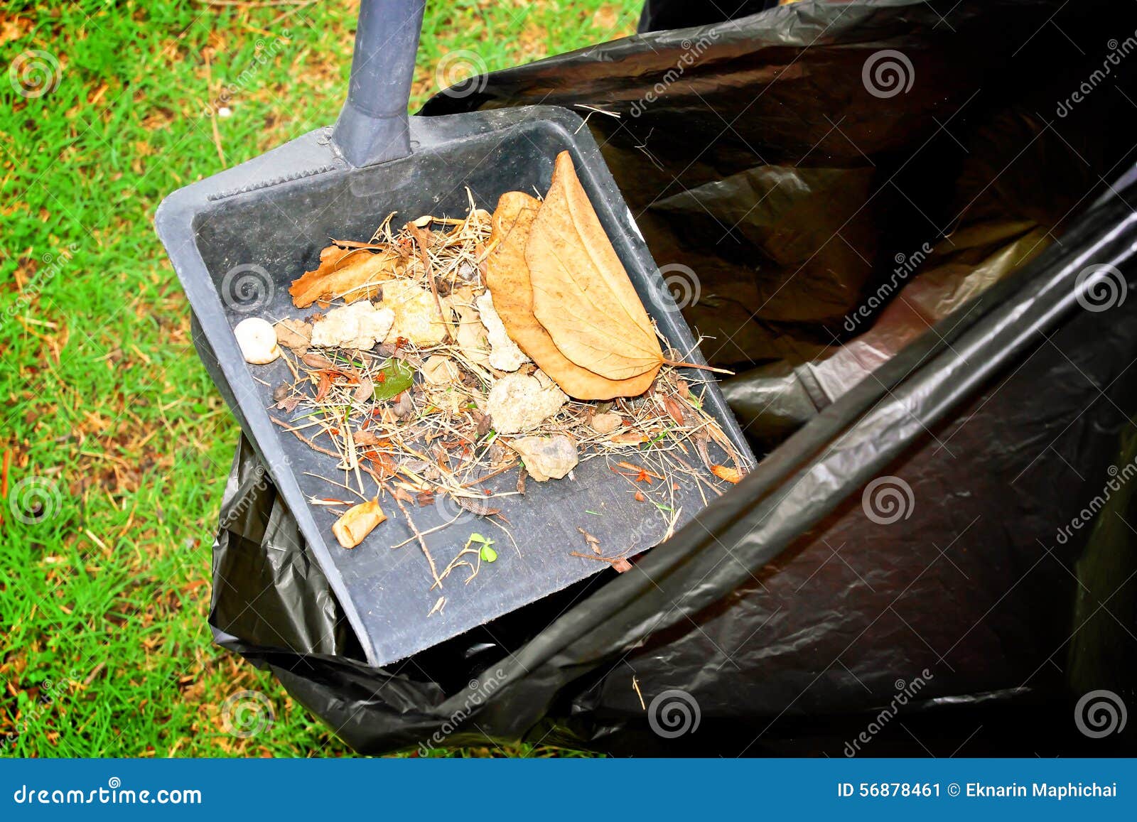 Sweeping and leaves stock image. Image of sweeping, garbage - 56878461