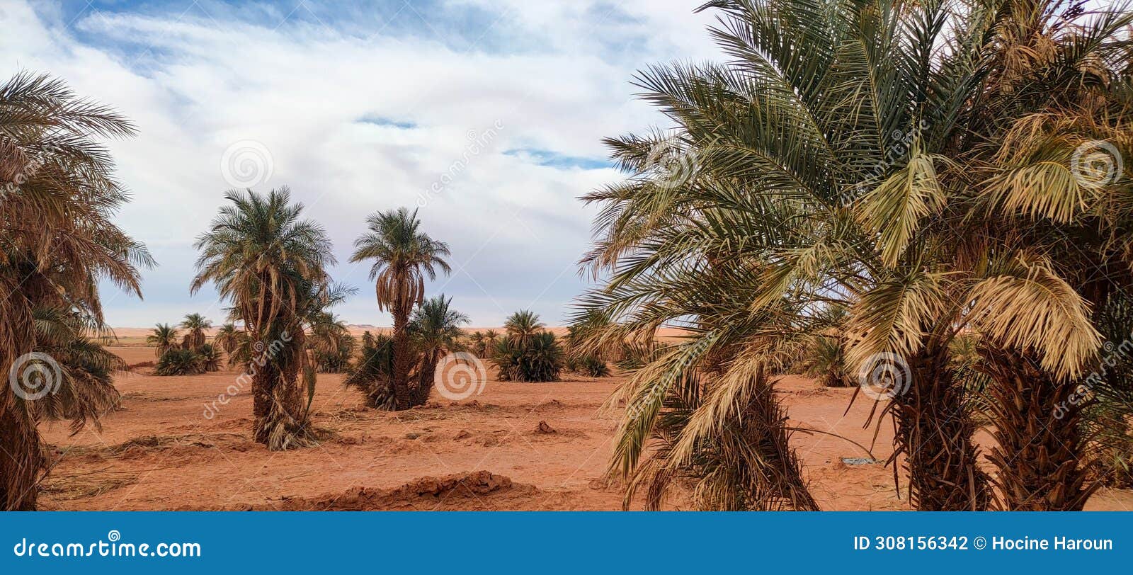 The red oasis Timimoun stock photo. Image of geology - 308156342