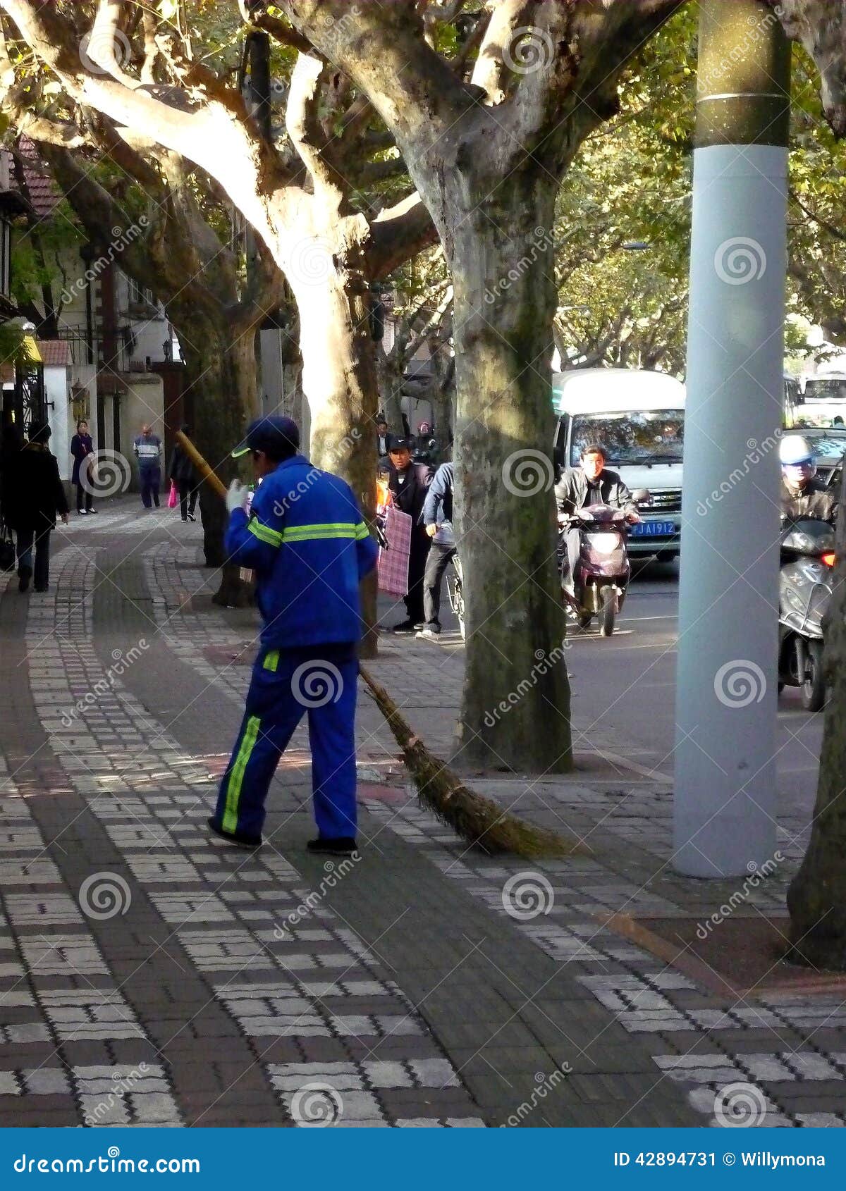 Broom Branche Stock Photos - Free & Royalty-Free Stock Photos from ...