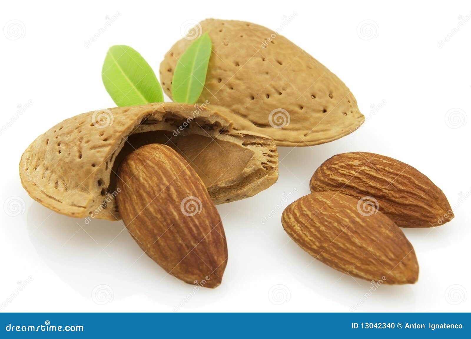Sweet almonds stock photo. Image of nature, almonds, brown - 13042340