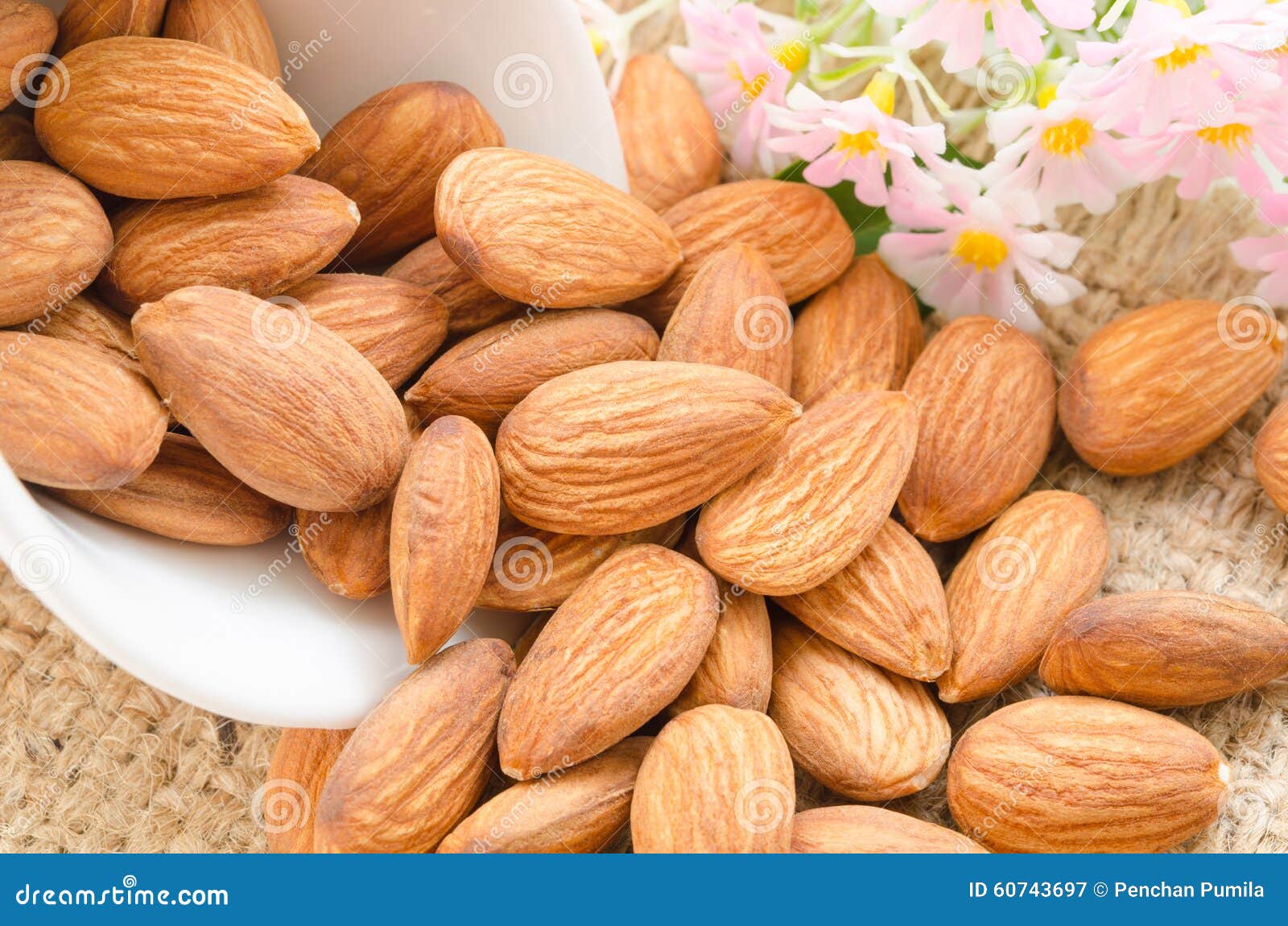 Sweet almonds with flower stock image. Image of fruit - 60743697