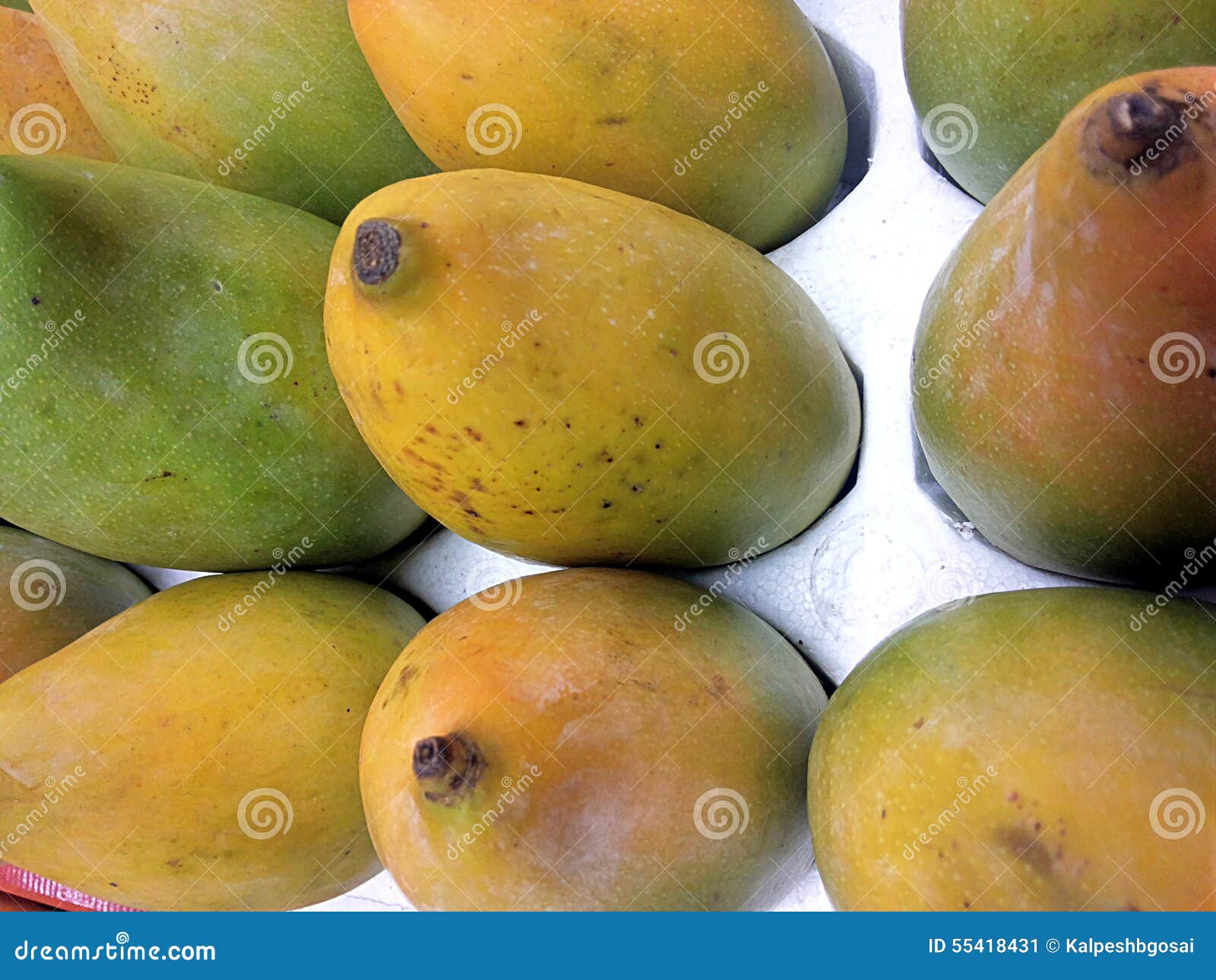 Sweet Alphonso mango stock image. Image of harvest, juicy - 55418431