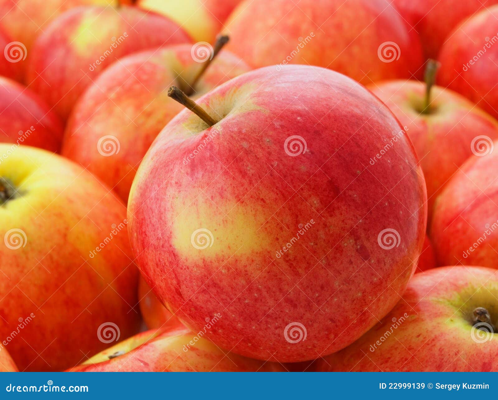 Sweet apple. stock image. Image of snack, goods, feeding - 22999139