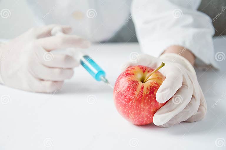 Sweet Apple, Genetic Engineering Stock Image - Image of science ...