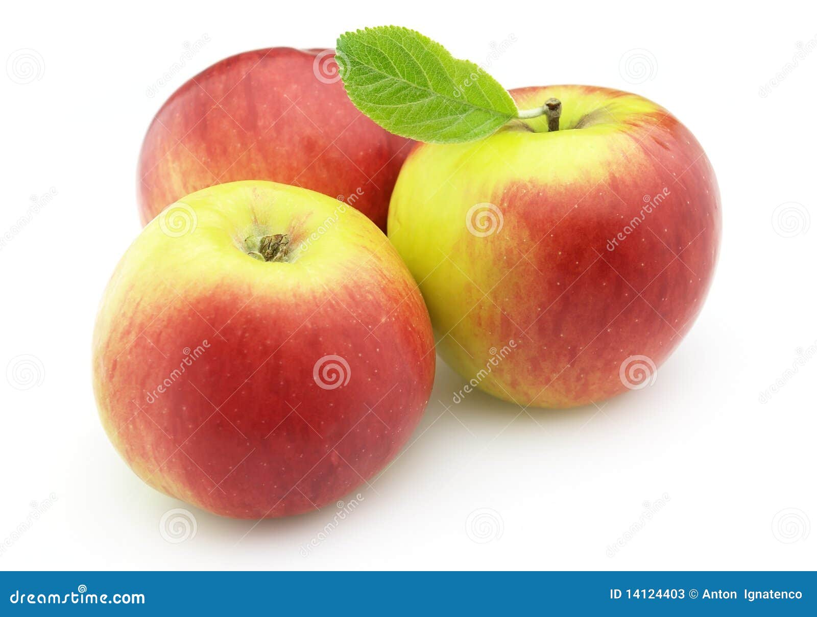 Sweet apples stock image. Image of closeup, sweet, food - 14124403