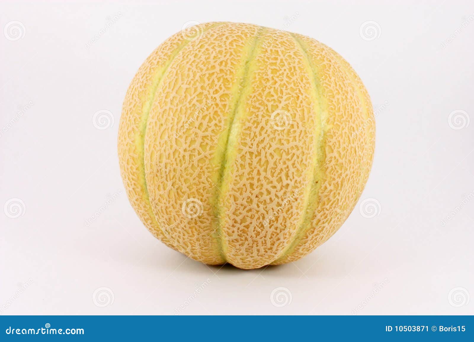 Sweet baby melon stock image. Image of delicious, vitamin - 10503871