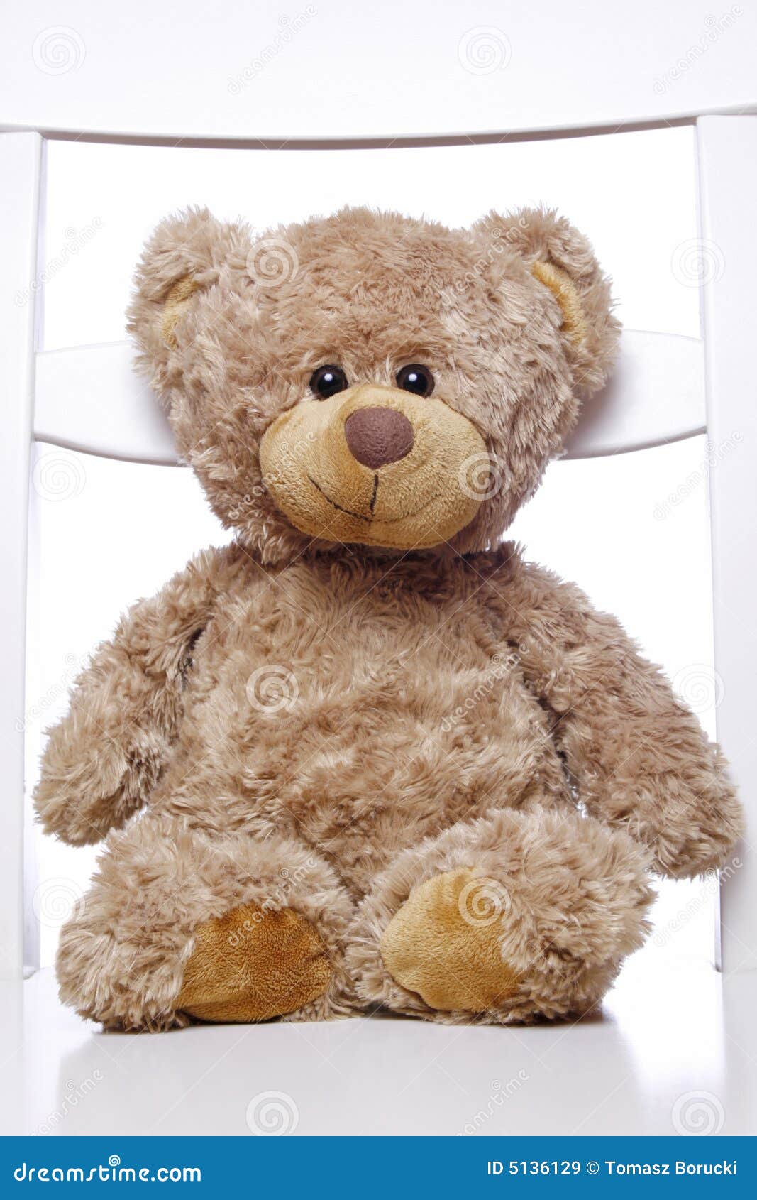 Sweet Bear stock image. Image of eyes, animal, cheerful - 5136129