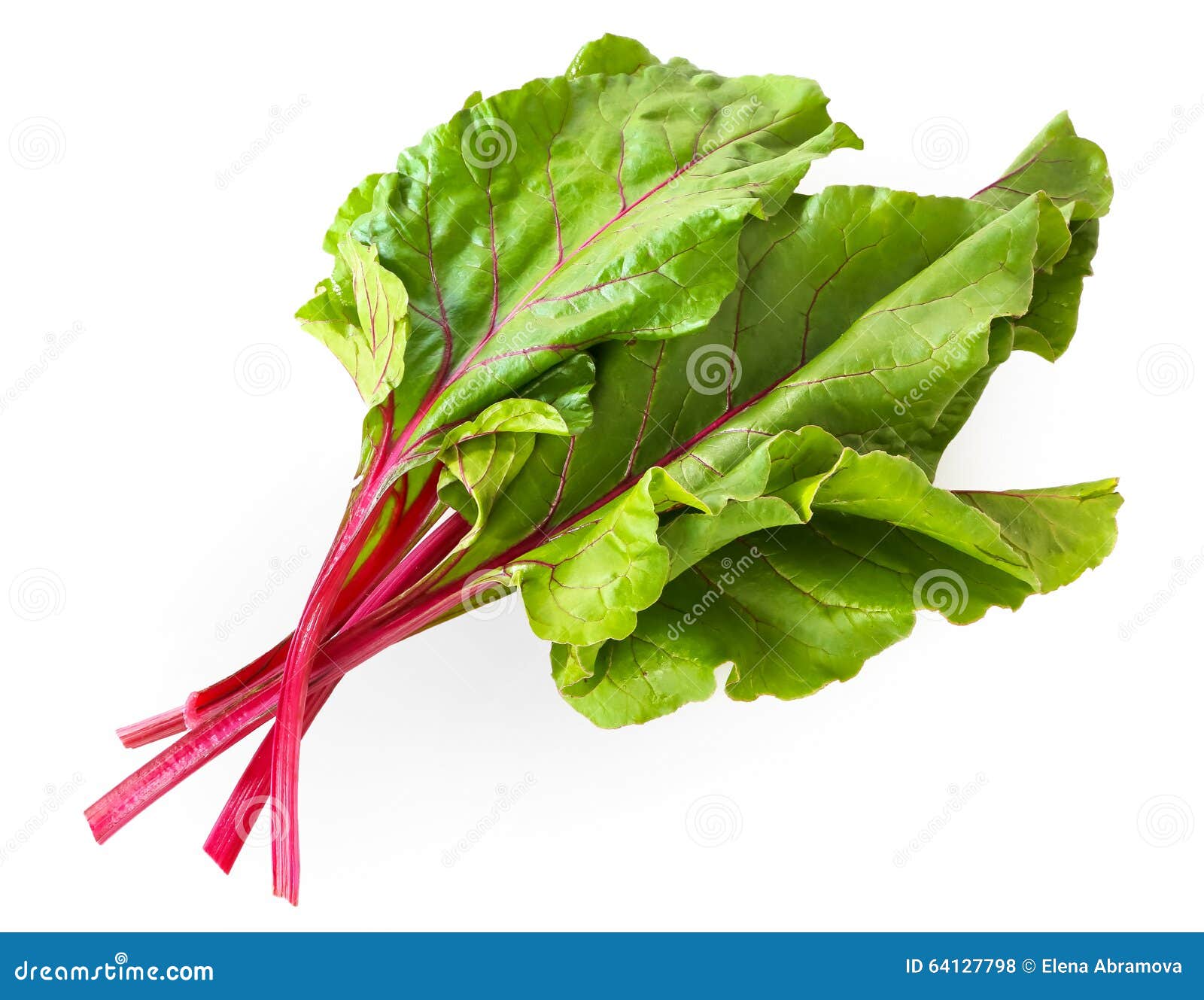 Sweet Beet Leafs(mangold) on White Stock Photo - Image of beet, crop ...