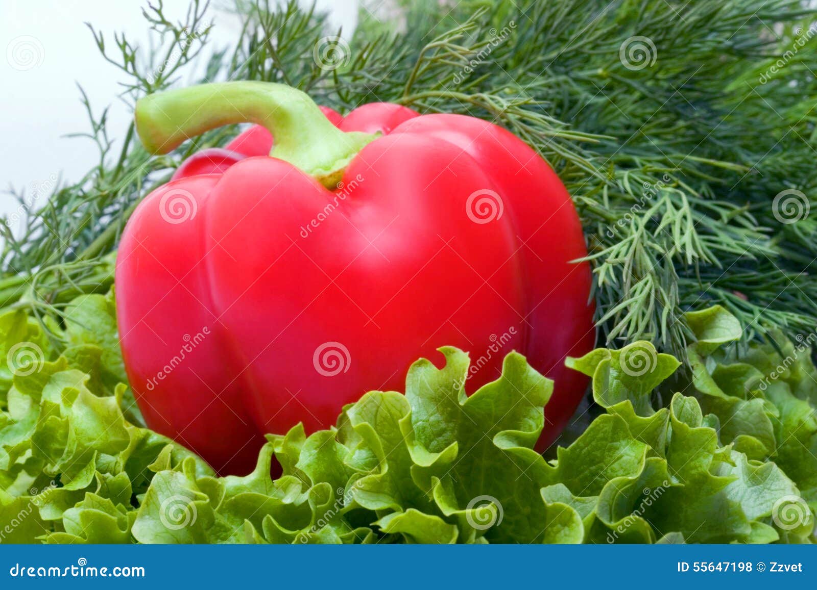 Sweet Bell Red Pepper, Dill and Lettuce Stock Photo - Image of botany ...