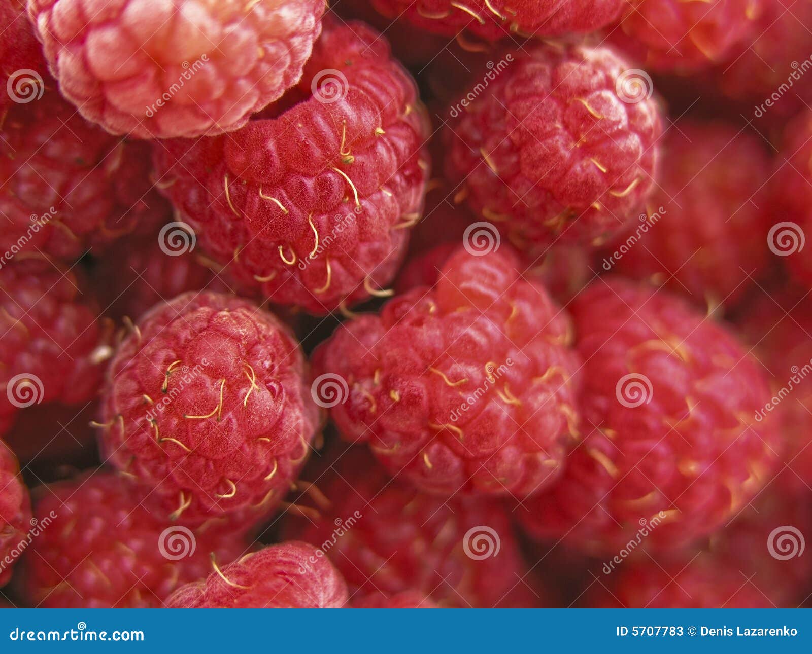 Sweet berries stock image. Image of food, july, sweet - 5707783