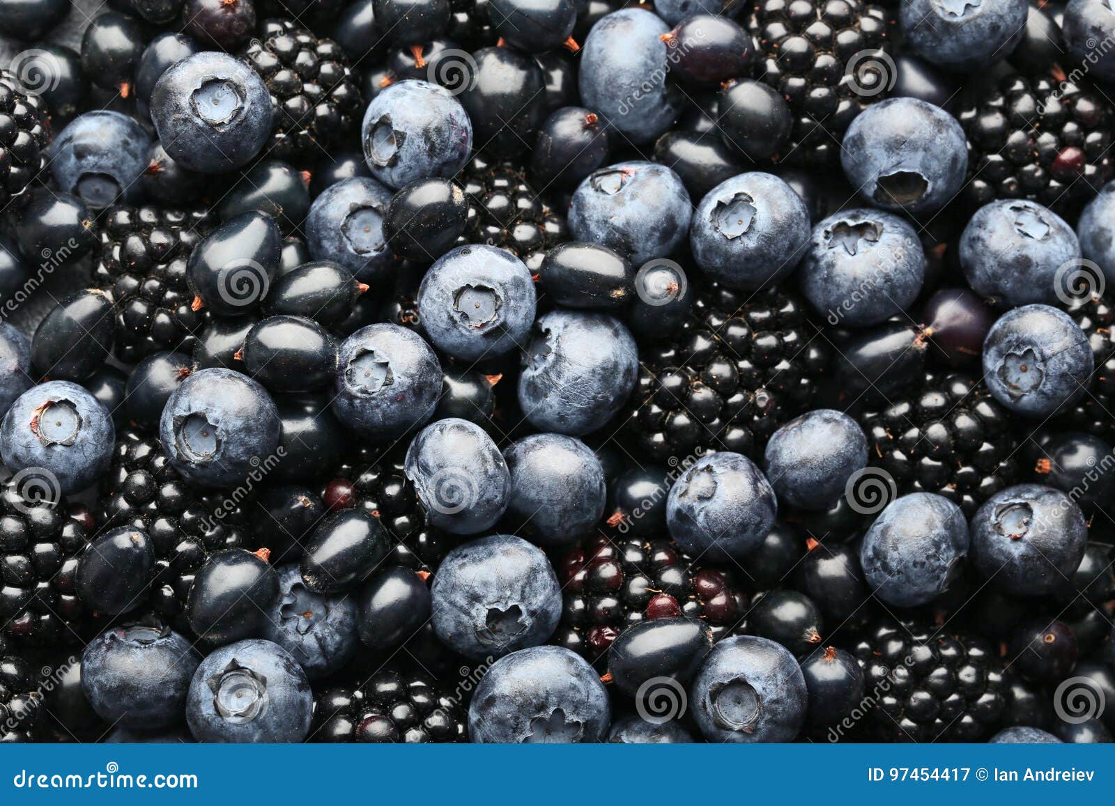 Sweet berries stock image. Image of fresh, health, colorful - 97454417