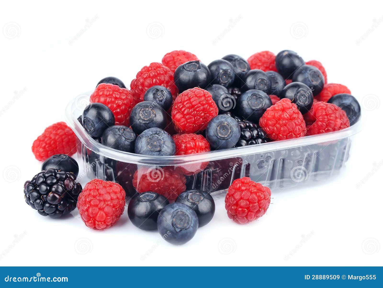 Sweet berry stock image. Image of bilberry, ripe, sweet - 28889509