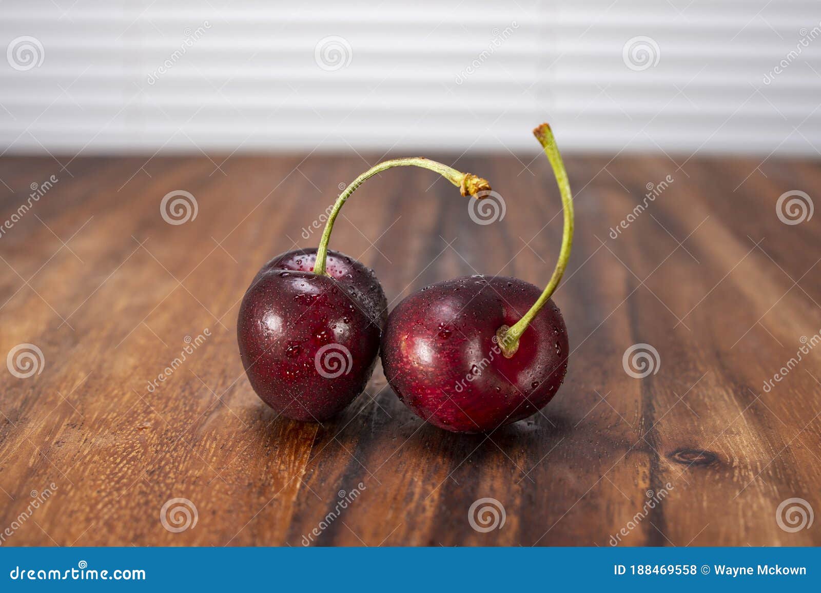 Sweet bing cherries stock photo. Image of branches, bright - 188469558