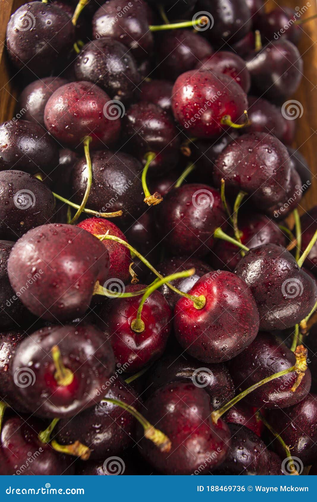 Sweet bing cherries stock photo. Image of healthy, background - 188469736