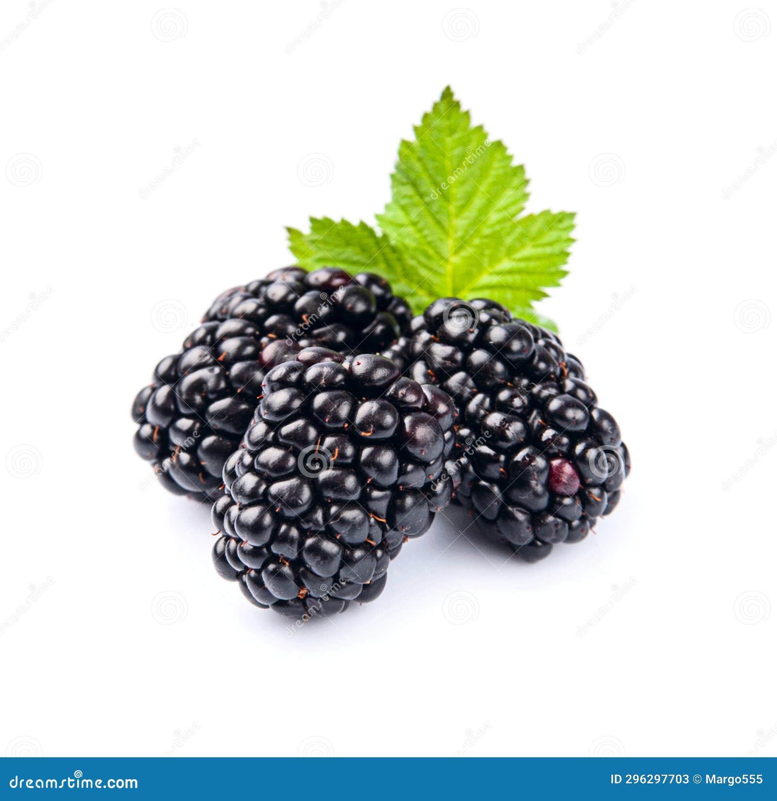 Sweet Blackberry with Leaves Stock Image - Image of alternative ...