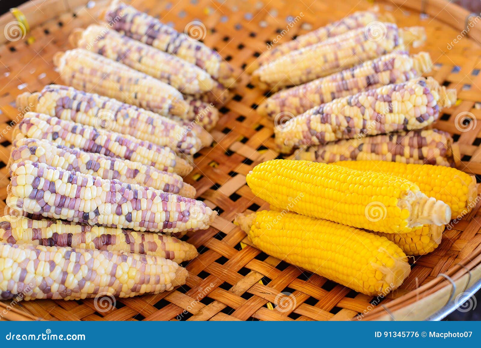 Sweet boiled corn on tray stock photo. Image of snack - 91345776