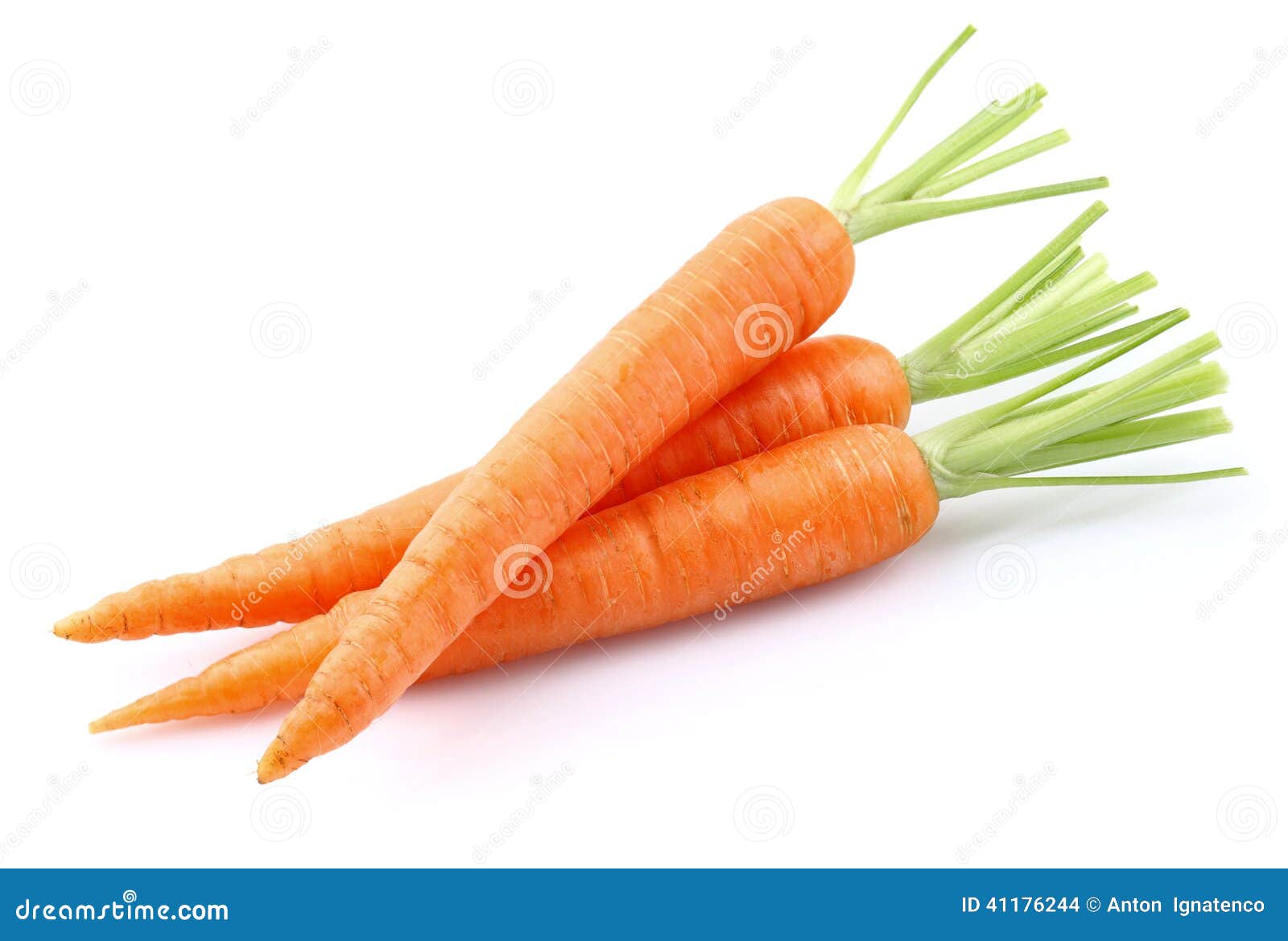 Sweet carrots stock photo. Image of food, clean, vegetables - 41176244