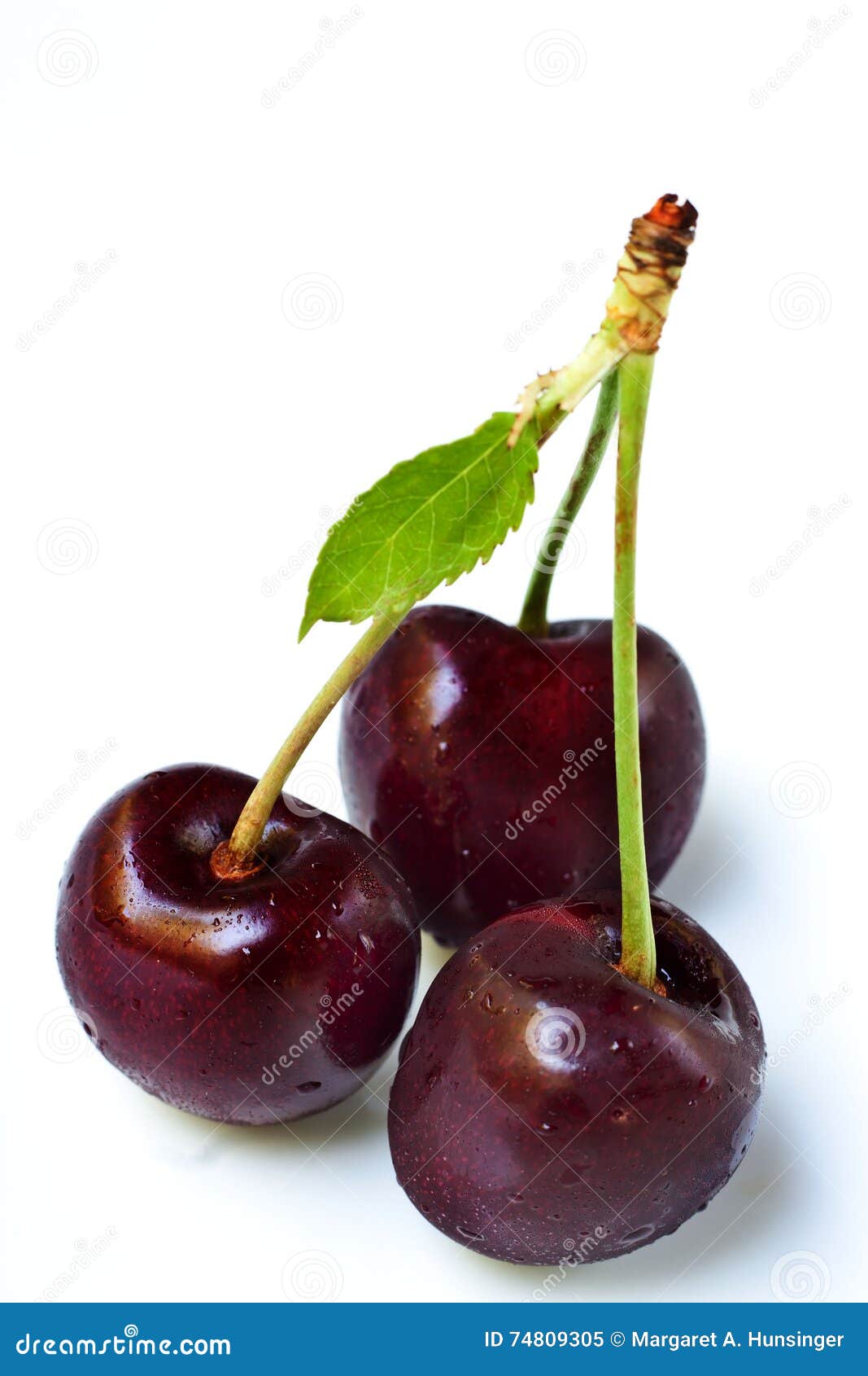 Sweet Cherries in a Cluster of Three Stock Image - Image of group ...