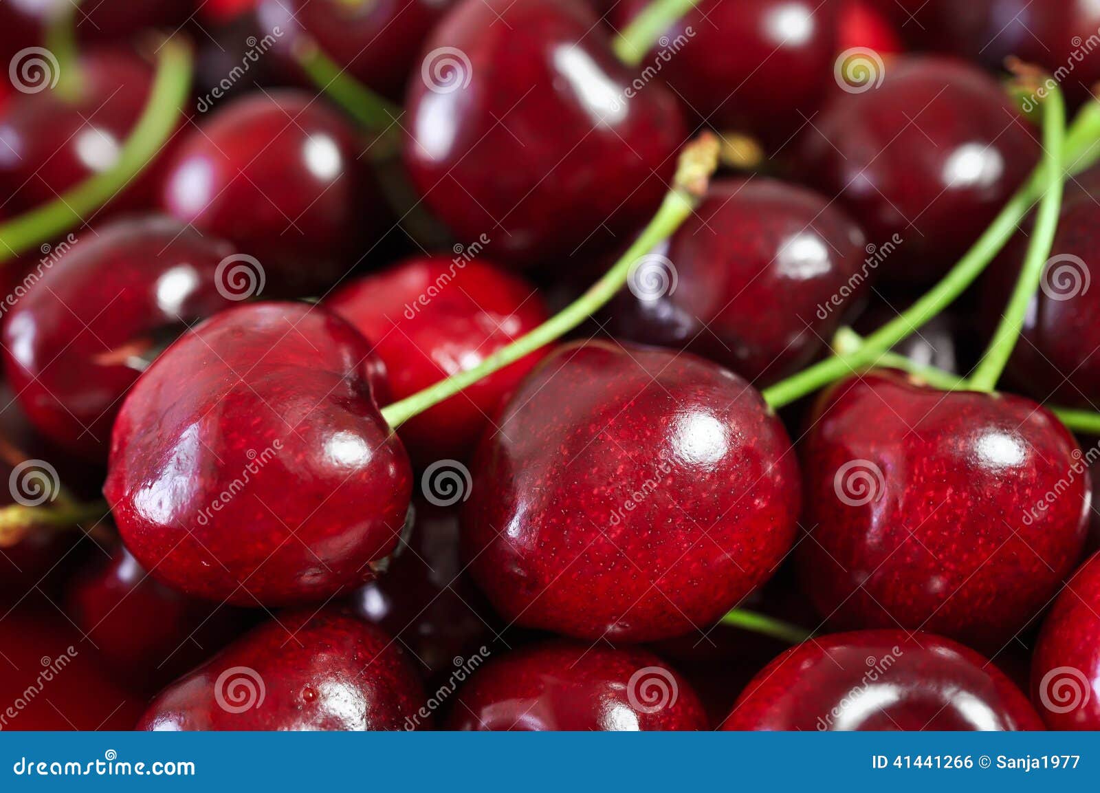 Sweet cherries stock photo. Image of fruit, gourmet, calories - 41441266