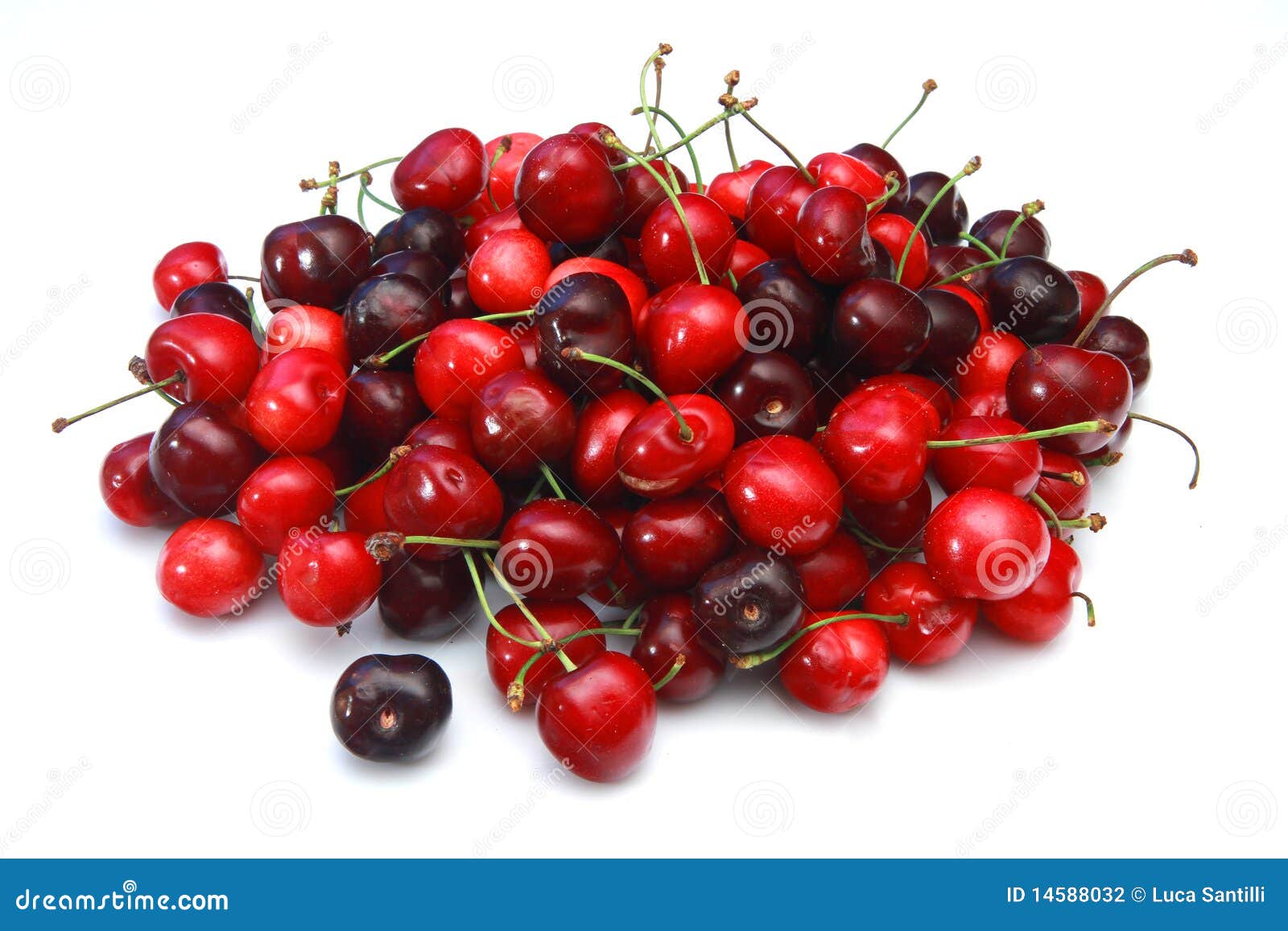 Sweet cherry stock photo. Image of mast, groupware, flock - 14588032