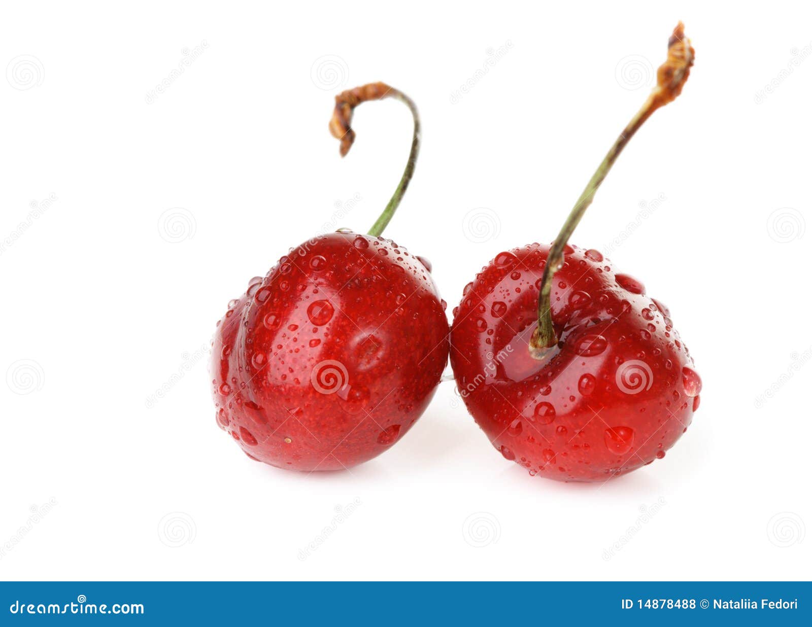 Sweet cherry stock photo. Image of bacca, fruit, nature - 14878488