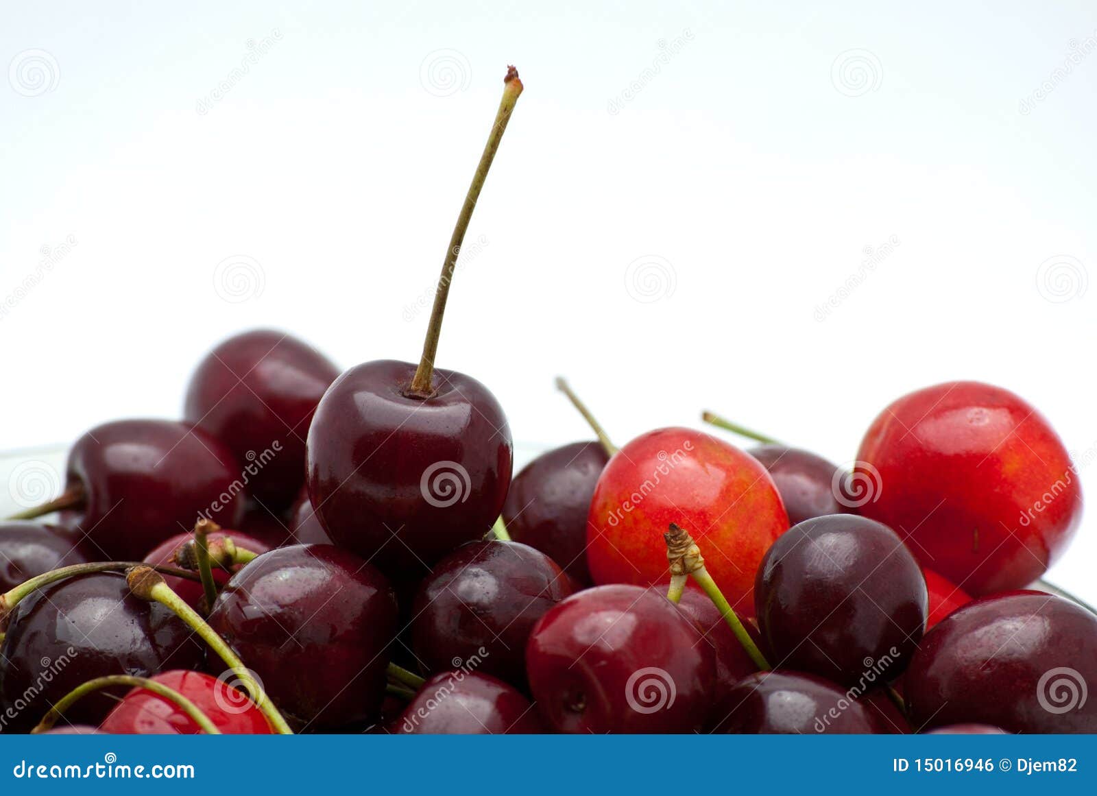 Sweet cherry stock photo. Image of natural, gorgeous - 15016946
