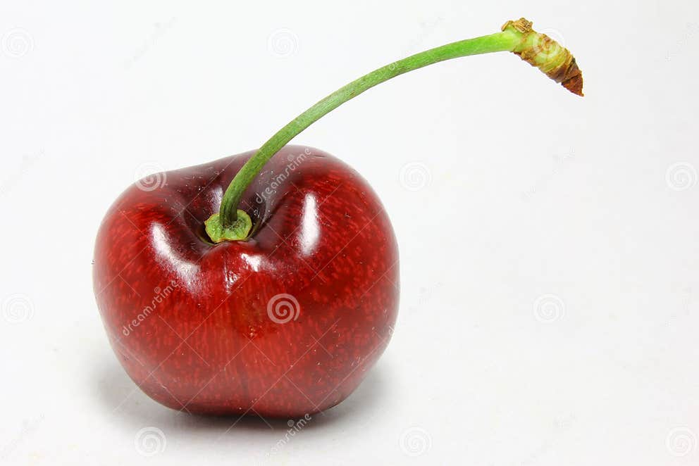 Sweet cherry stock photo. Image of frond, tasty, diet - 15332178