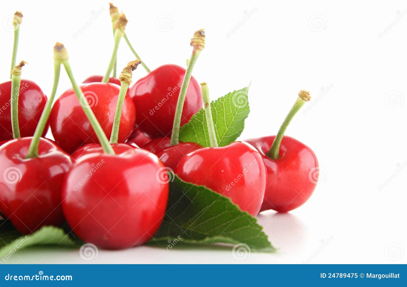 Sweet cherry stock image. Image of isolated, cherry, gourmet - 24789475
