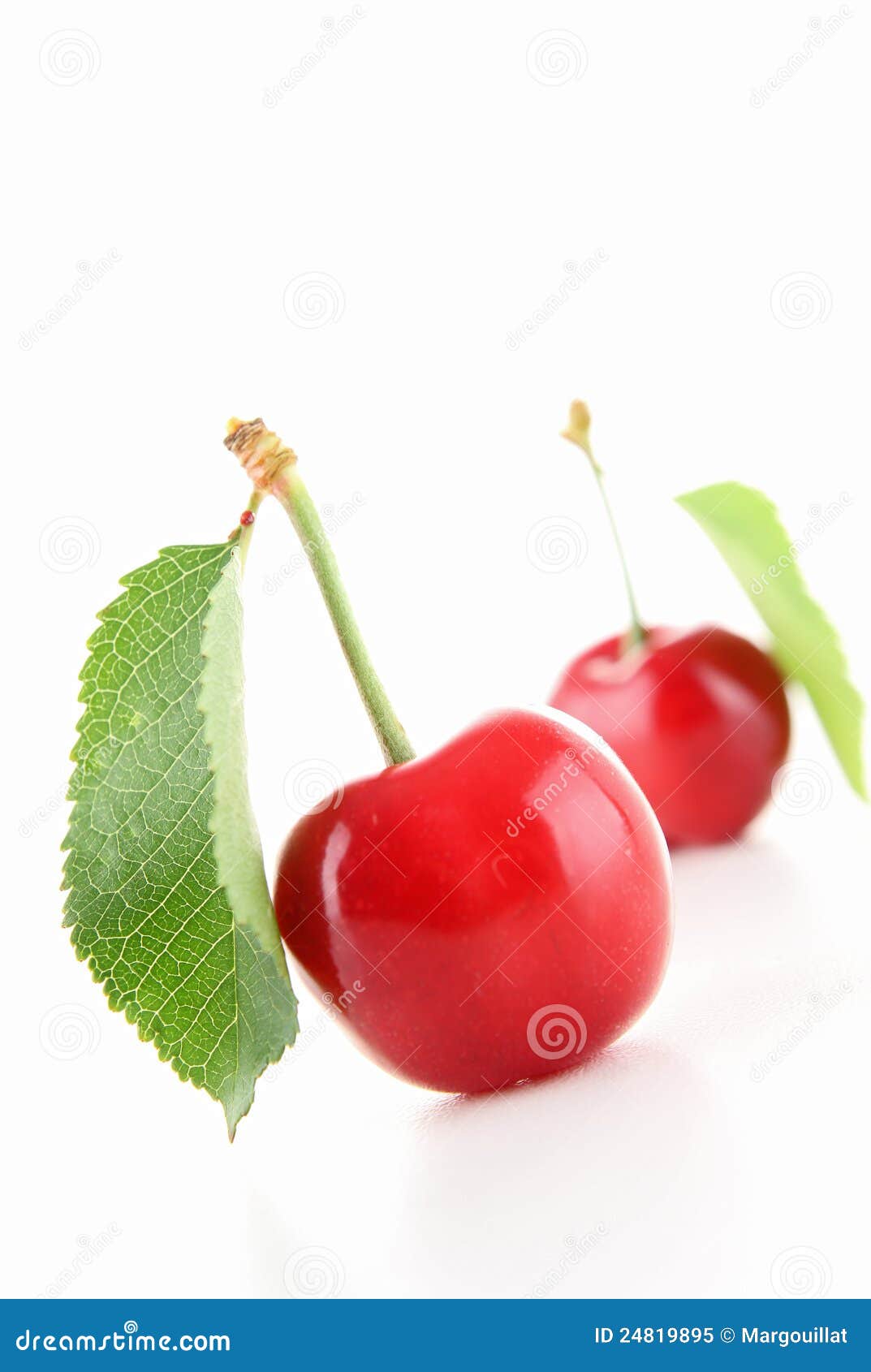 Sweet cherry stock image. Image of fruit, diet, studio - 24819895