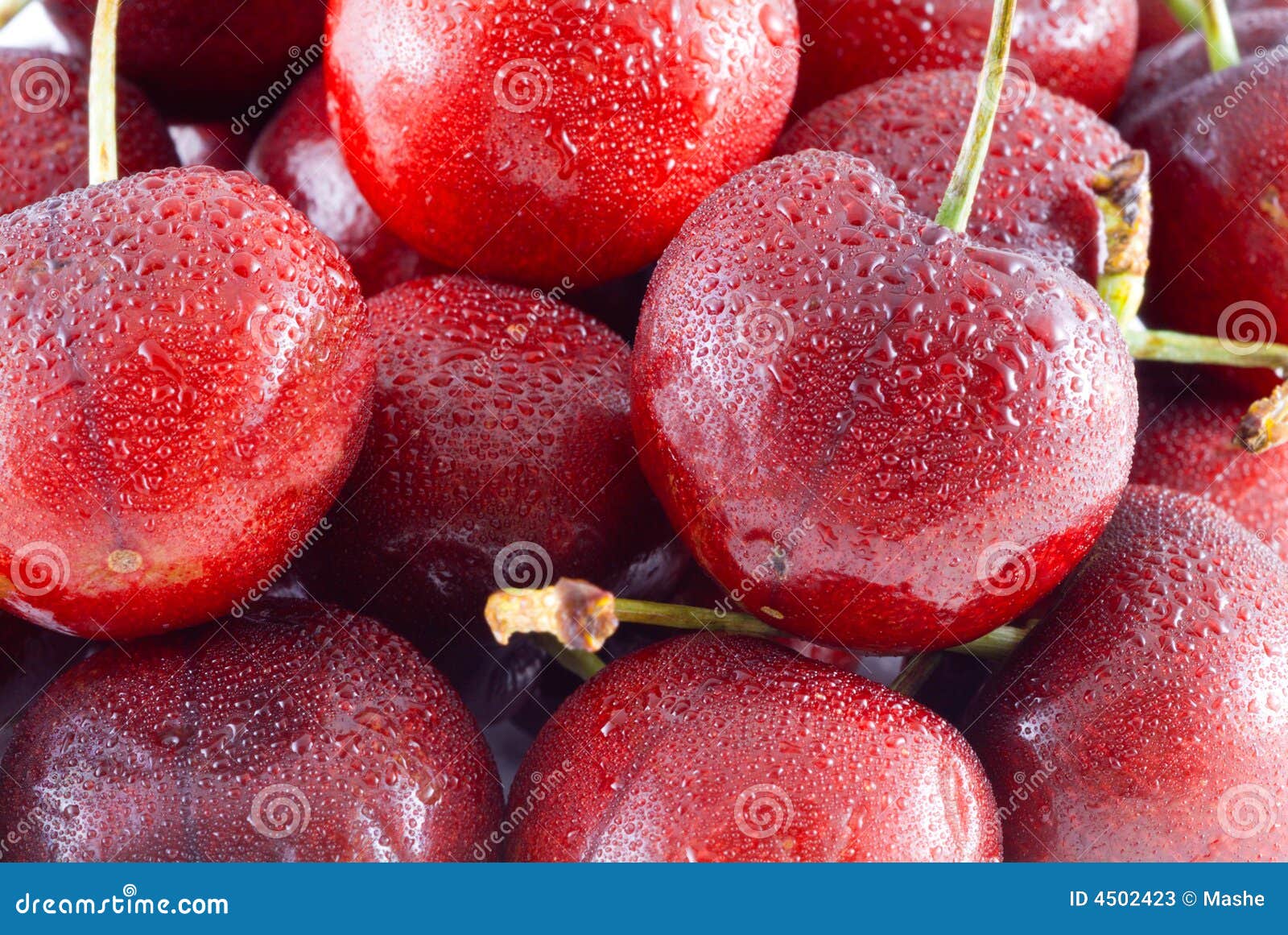 Sweet cherry. stock image. Image of fruit, water, vegetarian - 4502423