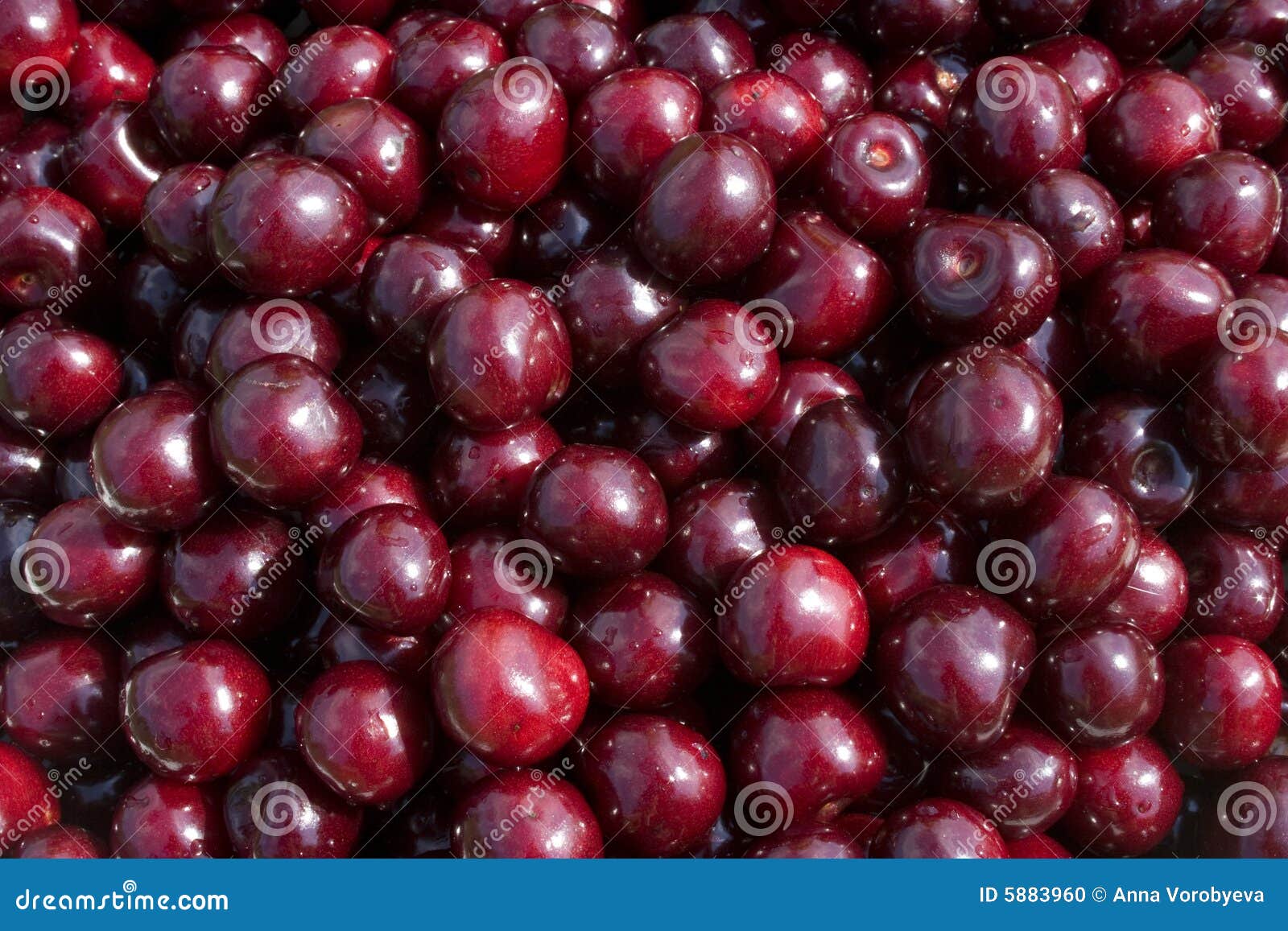 Sweet cherry stock photo. Image of abstract, dessert, vegetable - 5883960