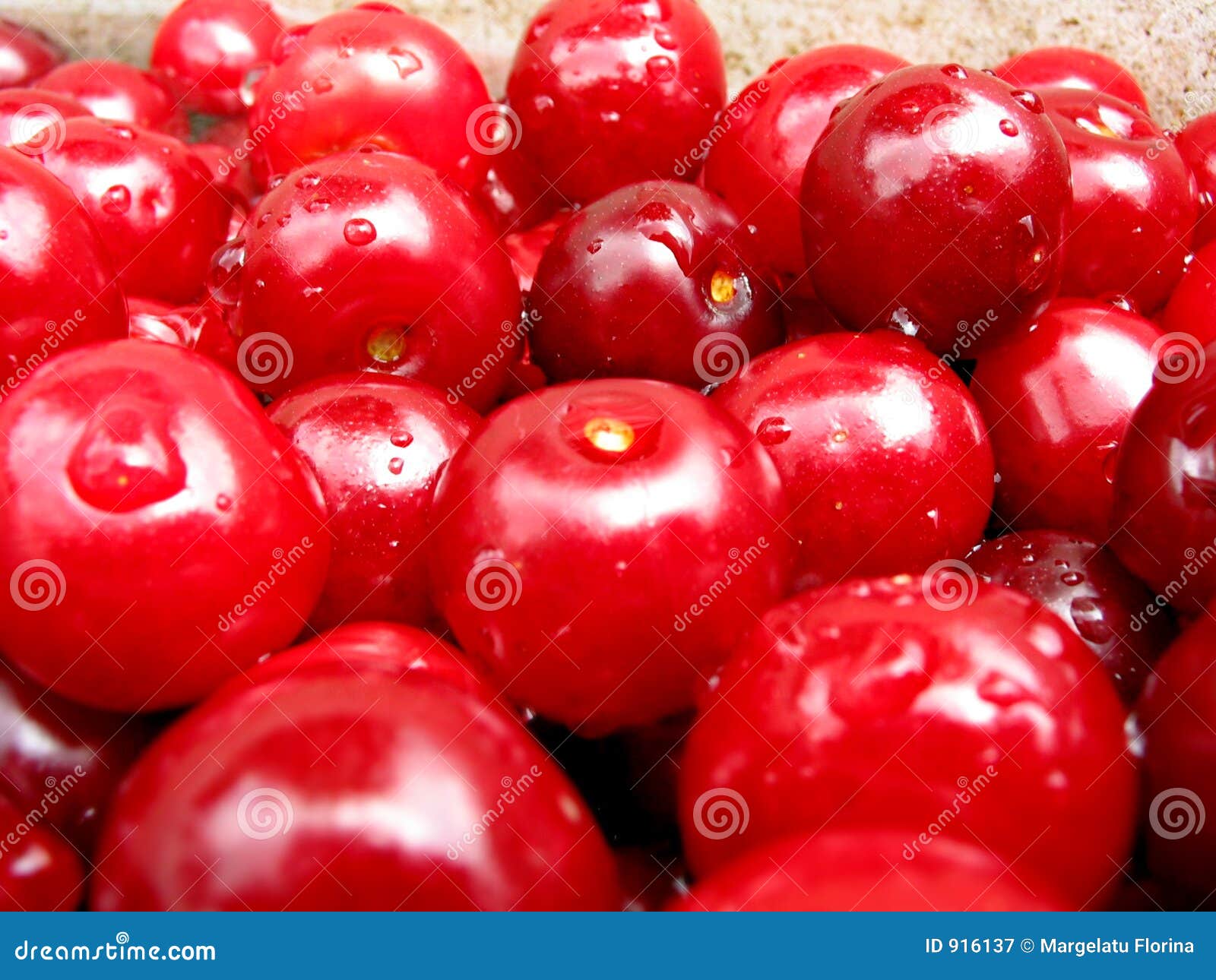 Sweet cherry stock image. Image of beautiful, gathering - 916137