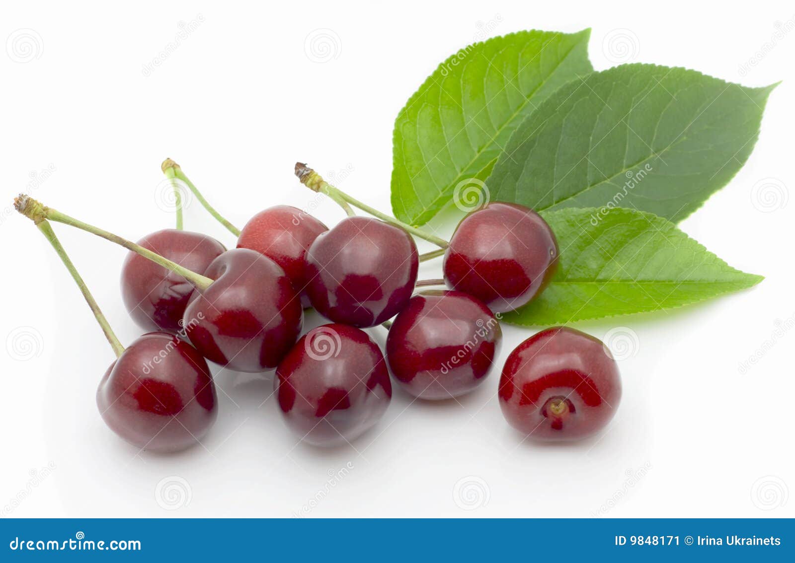 Sweet cherry stock image. Image of macro, cherry, portion - 9848171