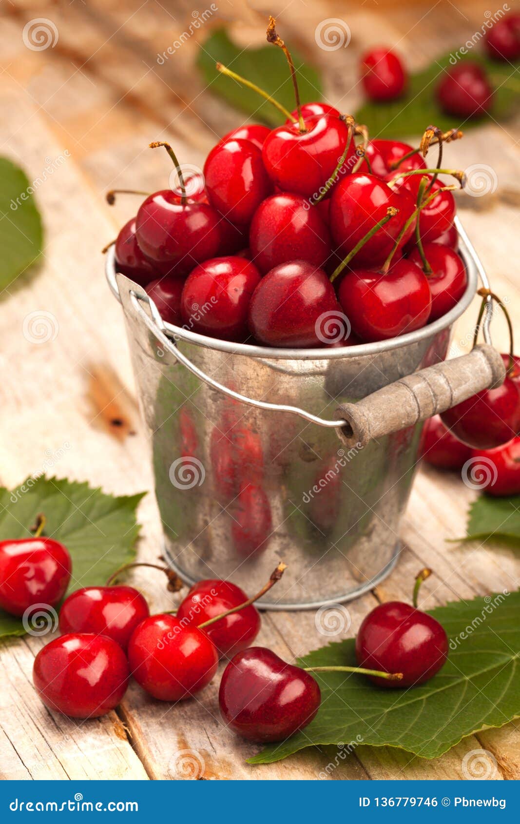 Sweet cherry in a bucket stock photo. Image of natural - 136779746